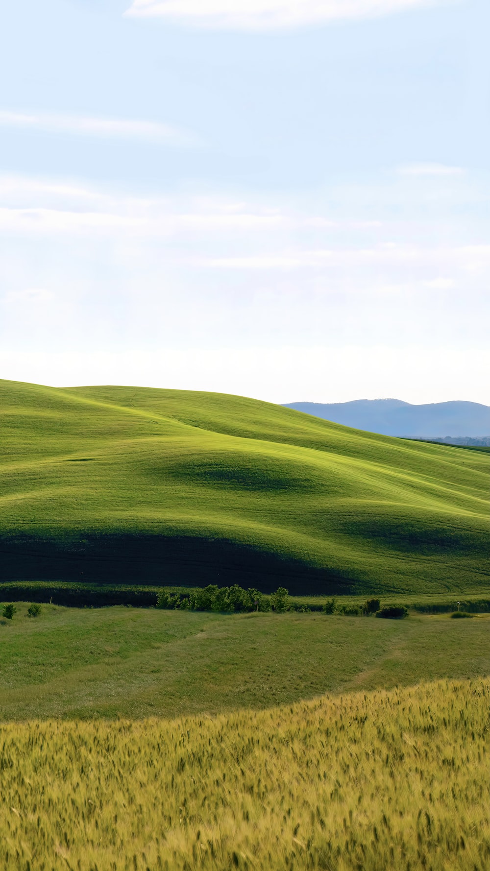Windows XP Phone Wallpapers - Wallpaper Cave