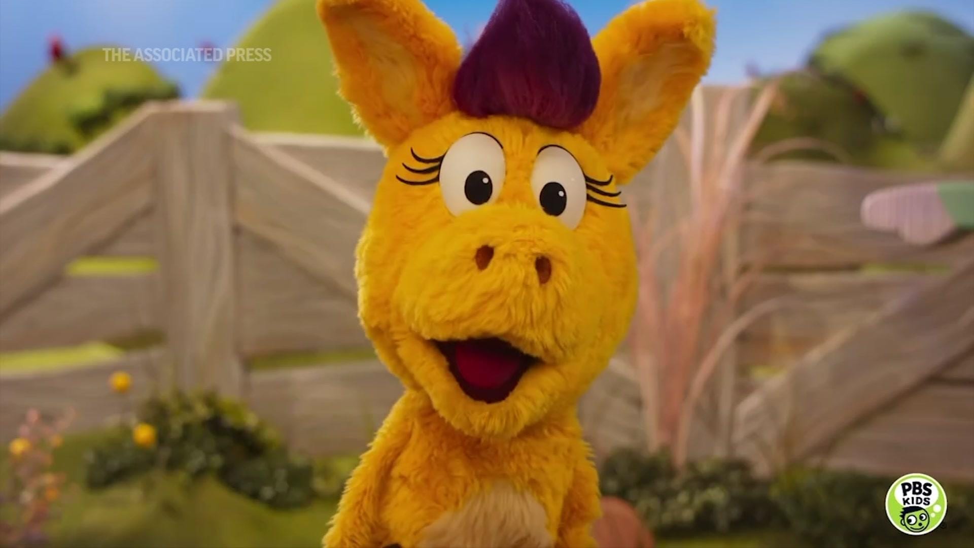 Donkey Hodie Wallpapers - Wallpaper Cave