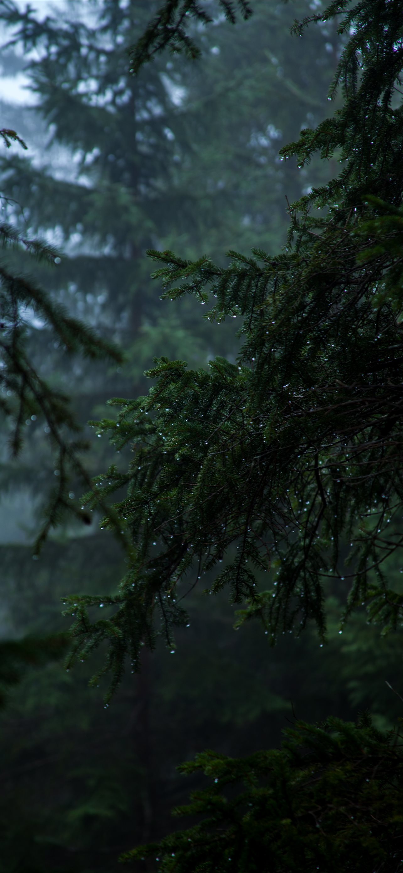 4k Rain Phone Wallpapers - Wallpaper Cave