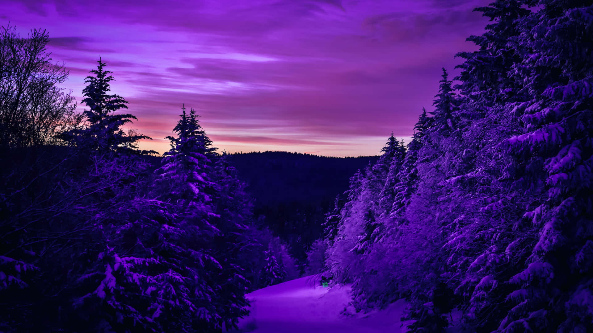Purple Winter PFP Wallpapers - Wallpaper Cave