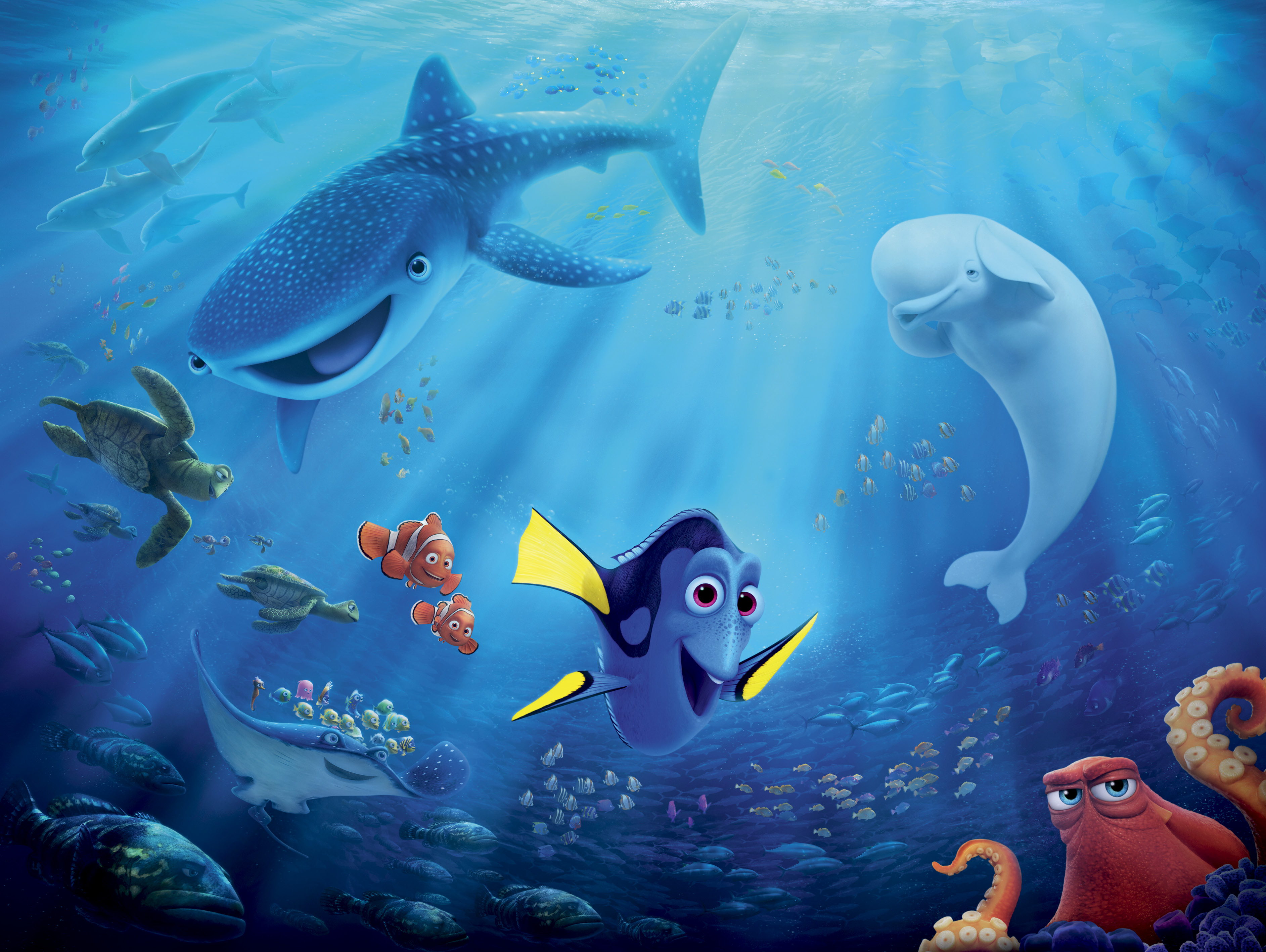 Finding Nemo 4k Wallpapers - Wallpaper Cave