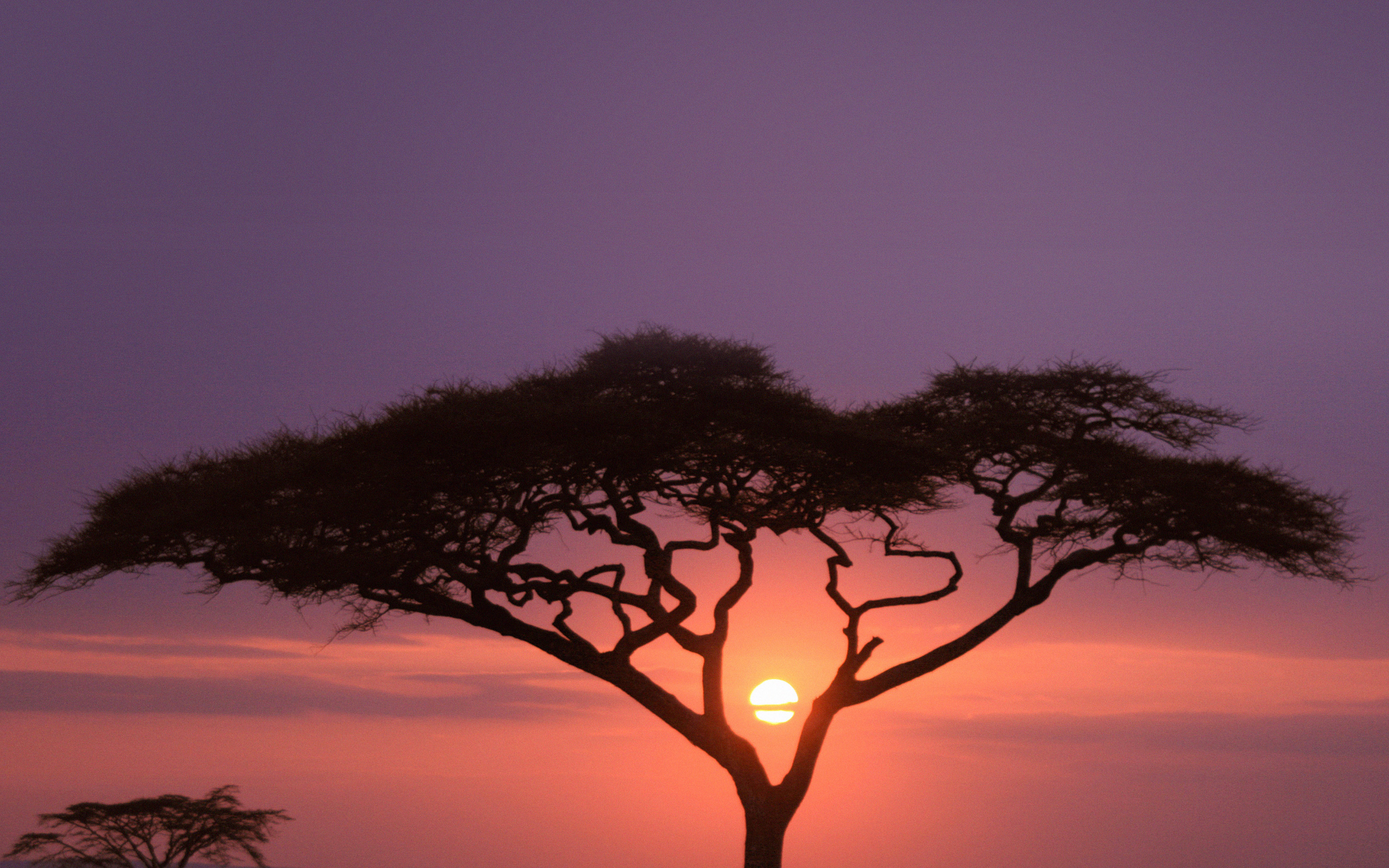 Africa Sunset Wallpapers - Wallpaper Cave