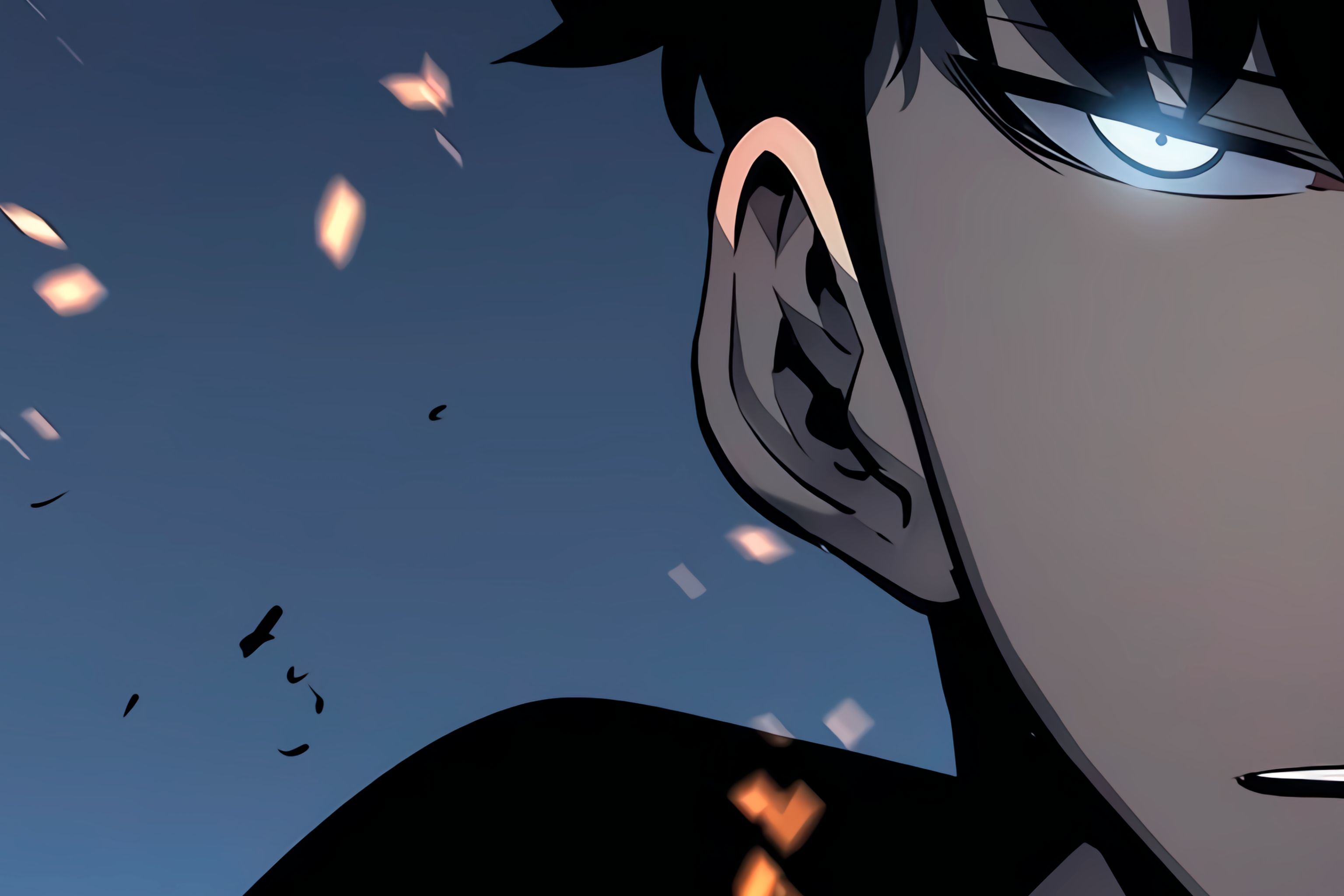 Solo Leveling Laptop Wallpapers - Wallpaper Cave