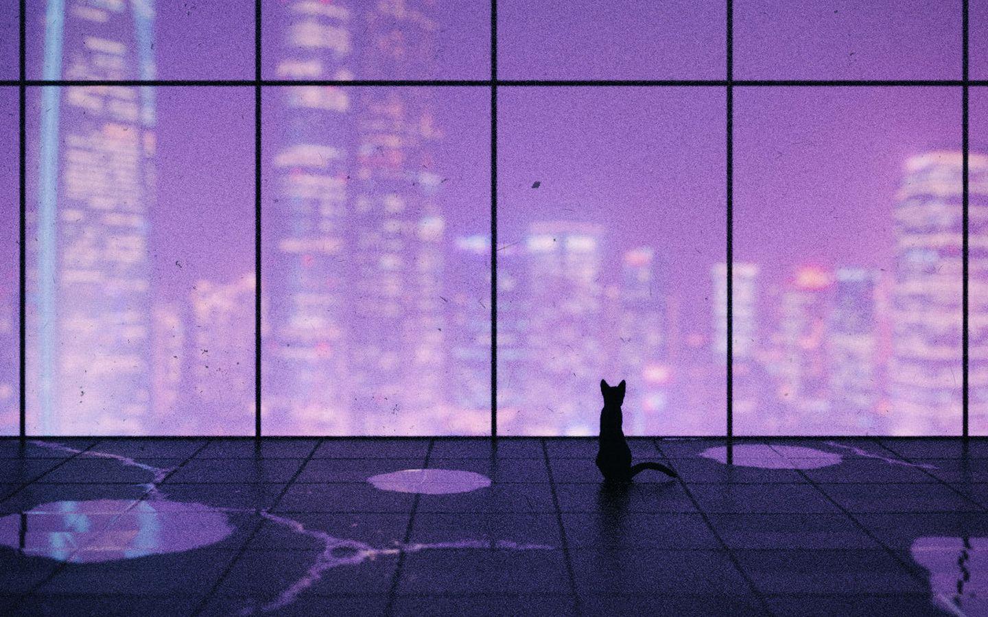 Cat Window Wallpapers - Wallpaper Cave