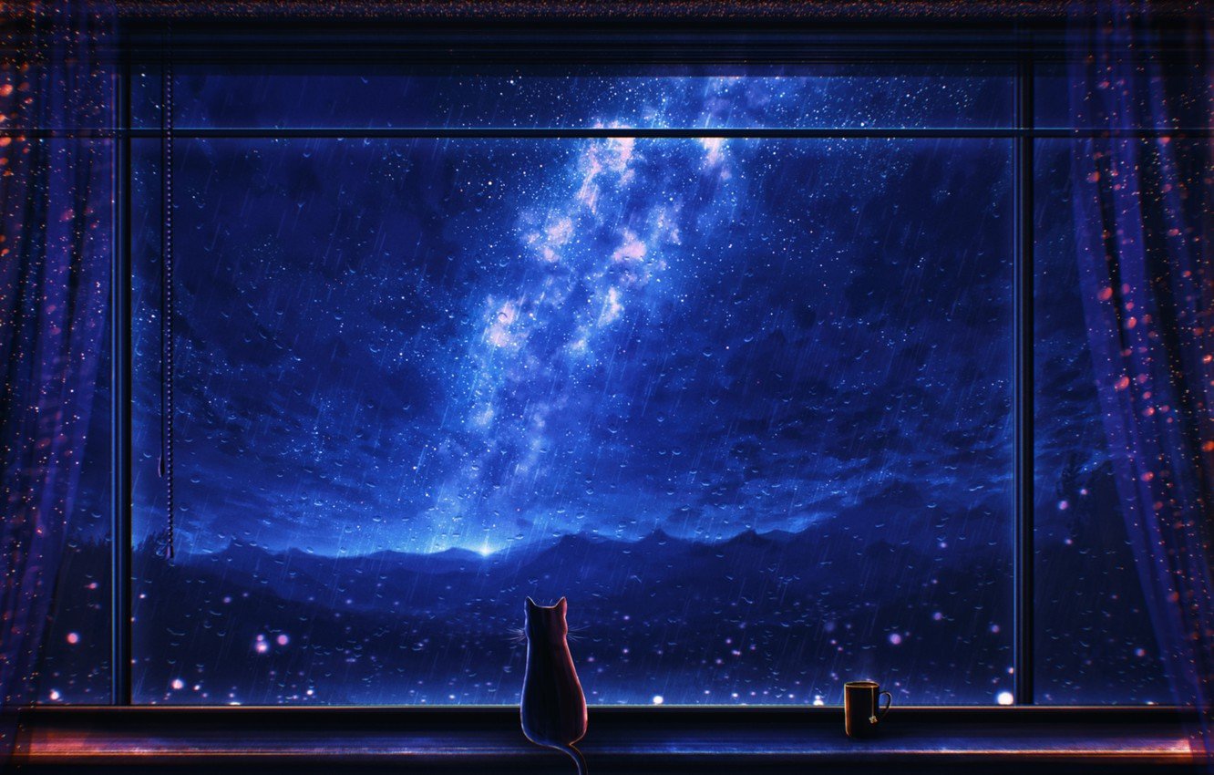 Cat Window Wallpapers - Wallpaper Cave