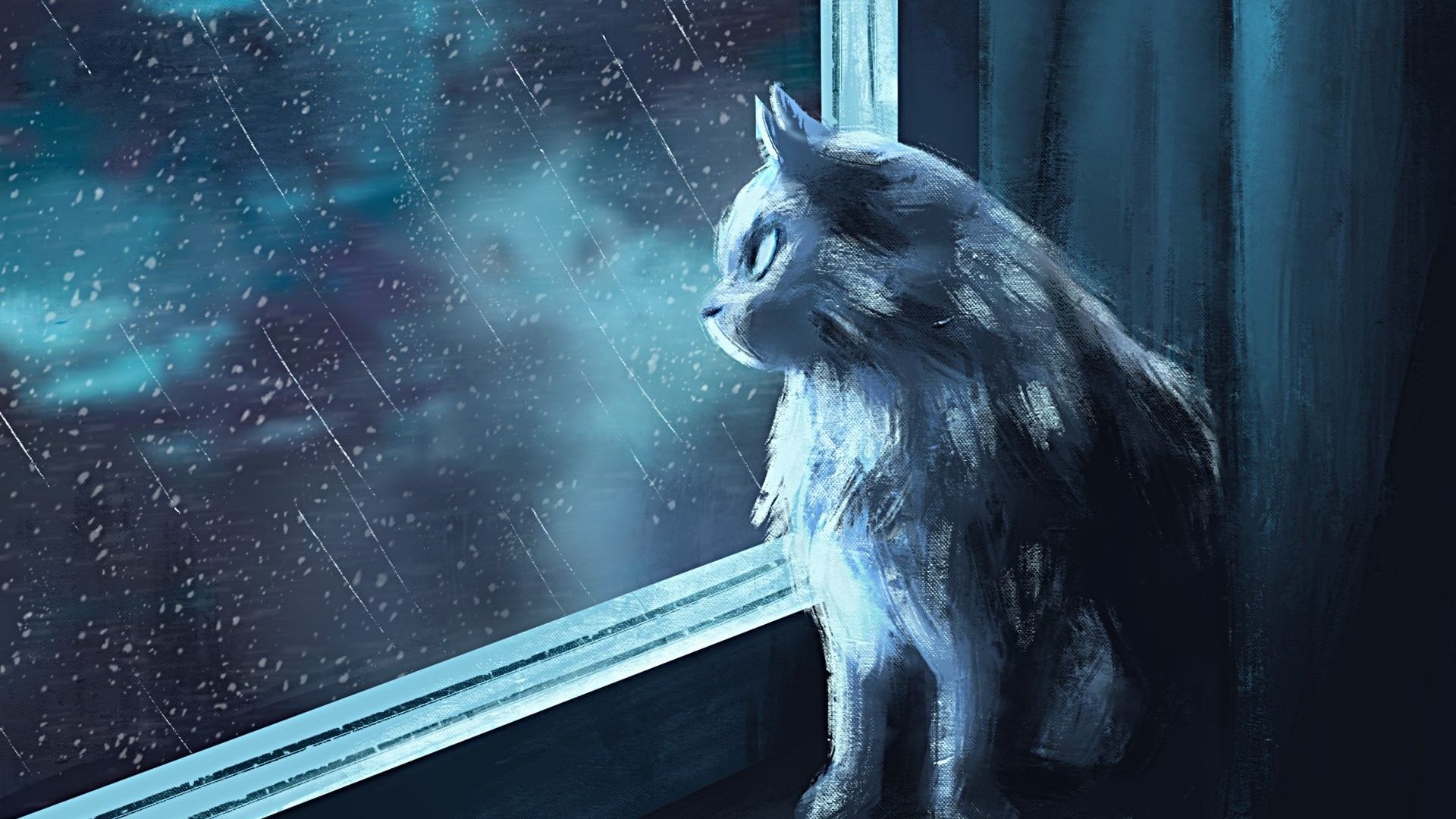 Cat Window Wallpapers - Wallpaper Cave