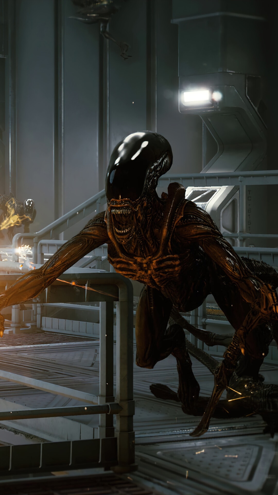 Aliens Fireteam Elite Wallpapers - Wallpaper Cave