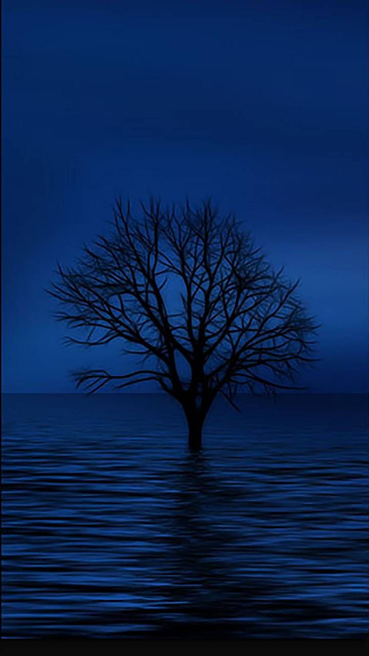 Blue Tree Wallpapers - Wallpaper Cave