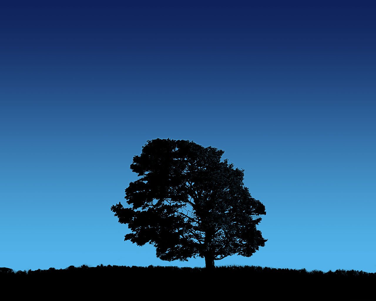 Blue Tree Wallpapers - Wallpaper Cave