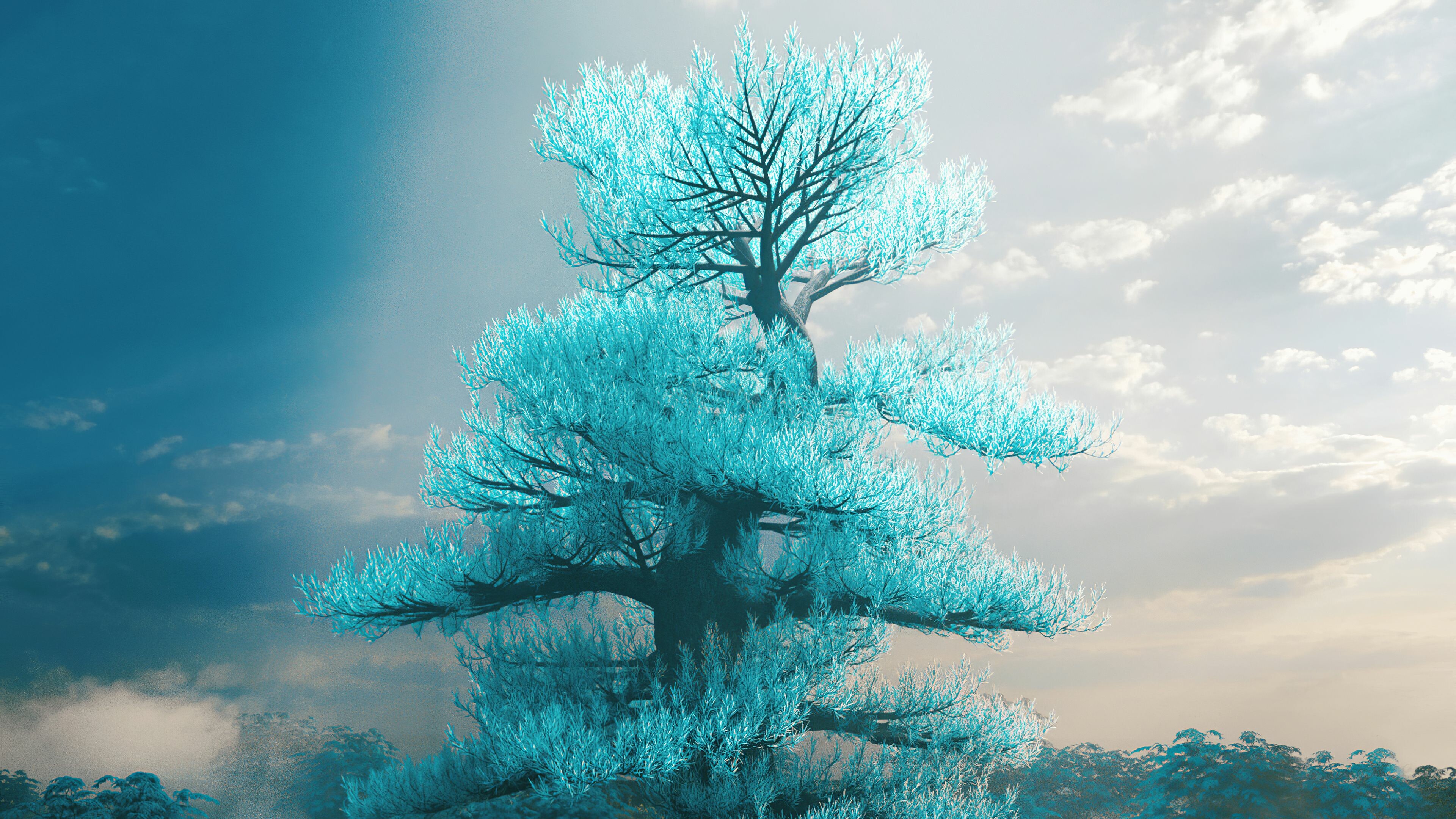 Blue Tree Wallpapers - Wallpaper Cave