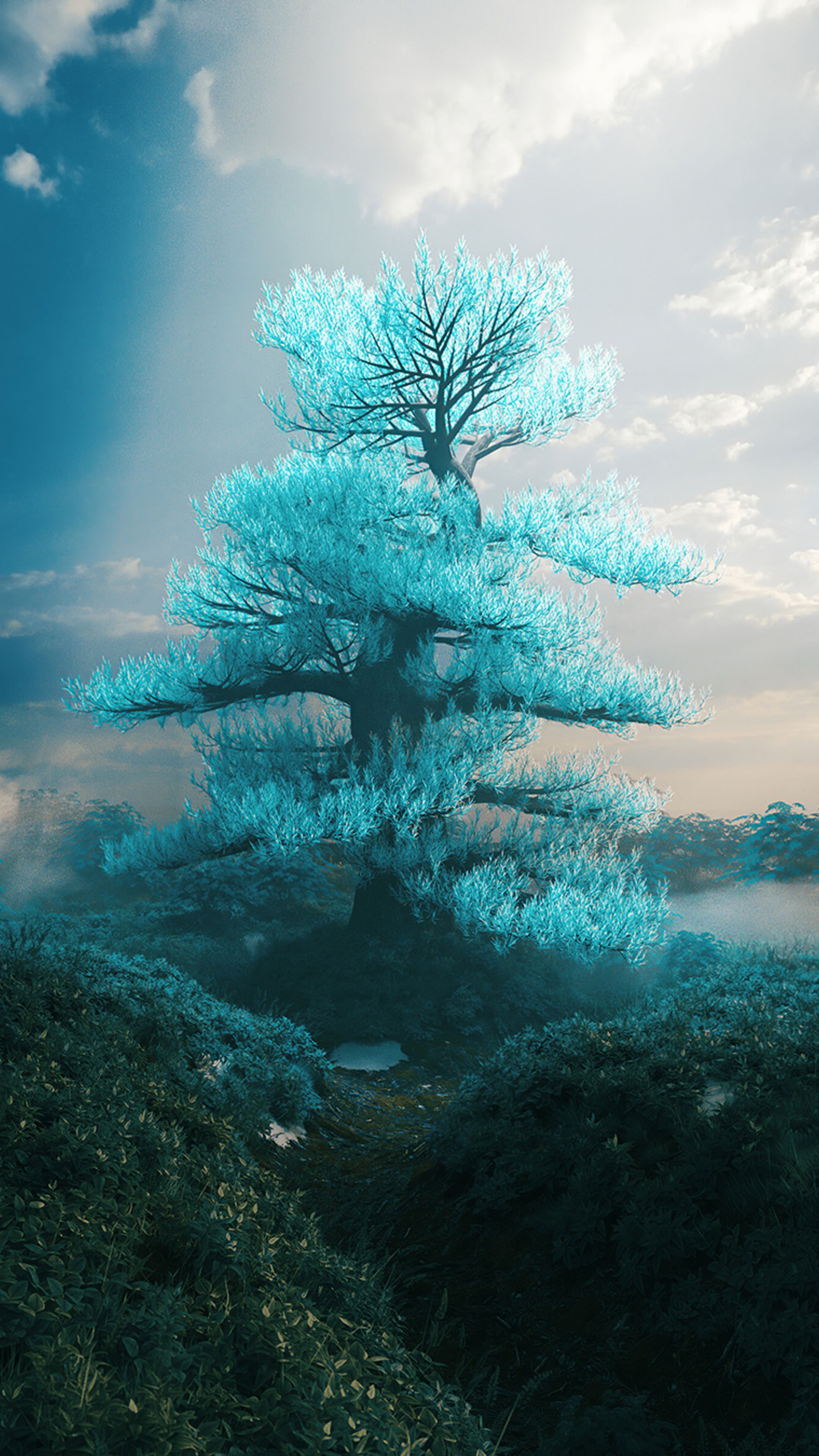Blue Tree Wallpapers - Wallpaper Cave