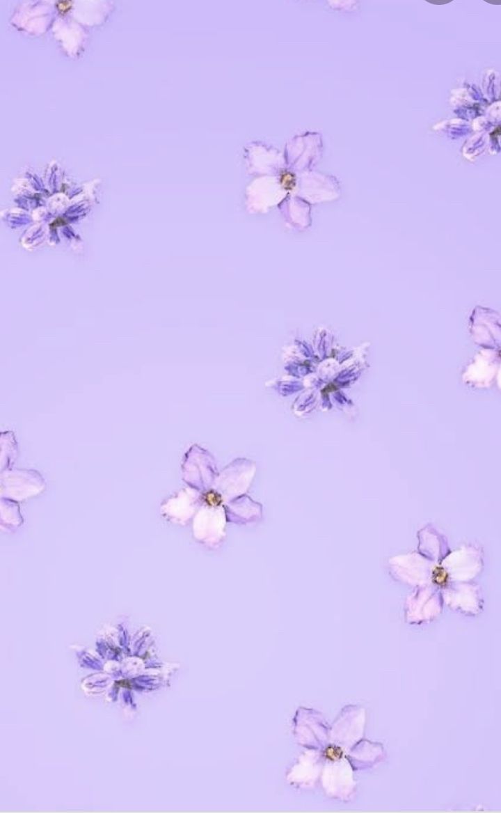 Lilac Purple Wallpapers - Wallpaper Cave
