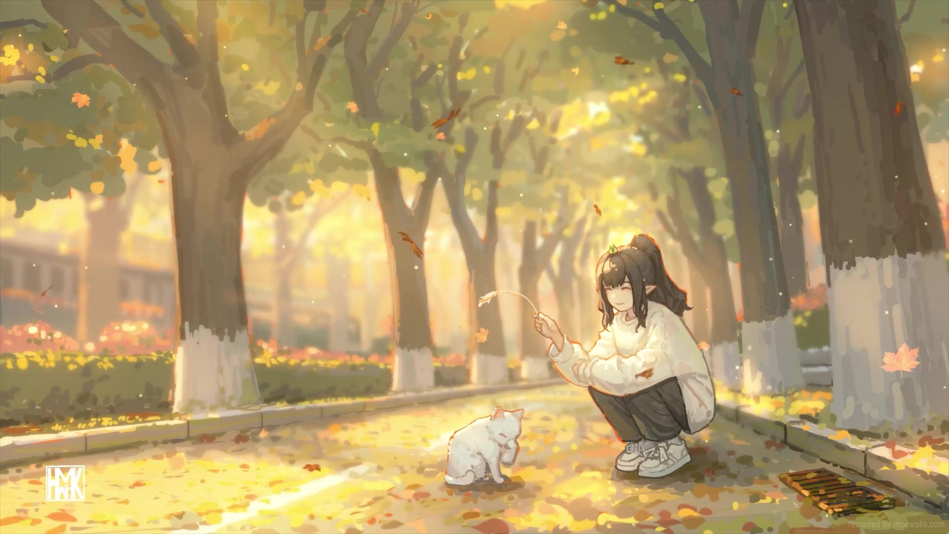 Autumn Cat Anime Wallpapers - Wallpaper Cave