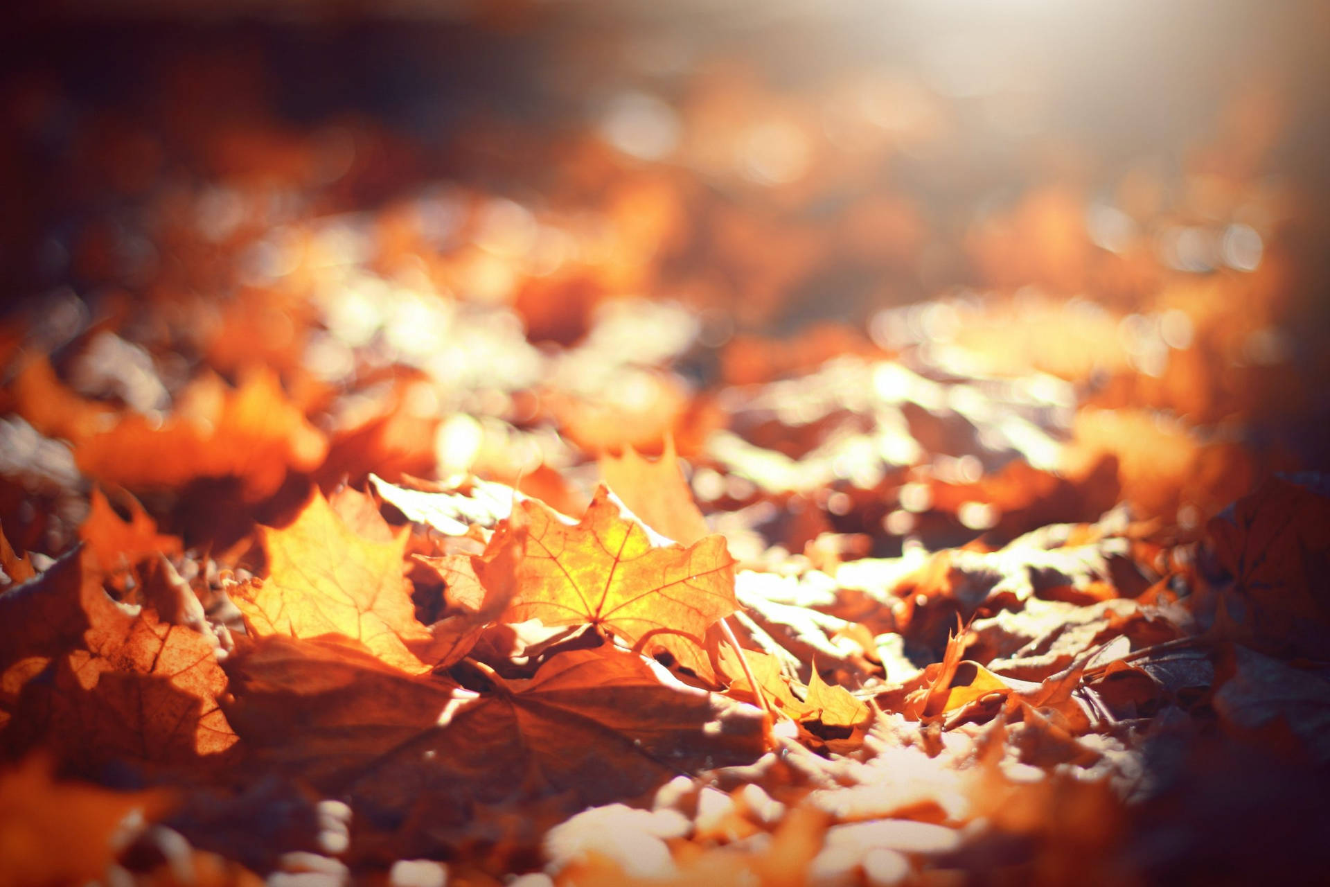 Aesthetic Autumn Clean Desktop Wallpapers - Wallpaper Cave
