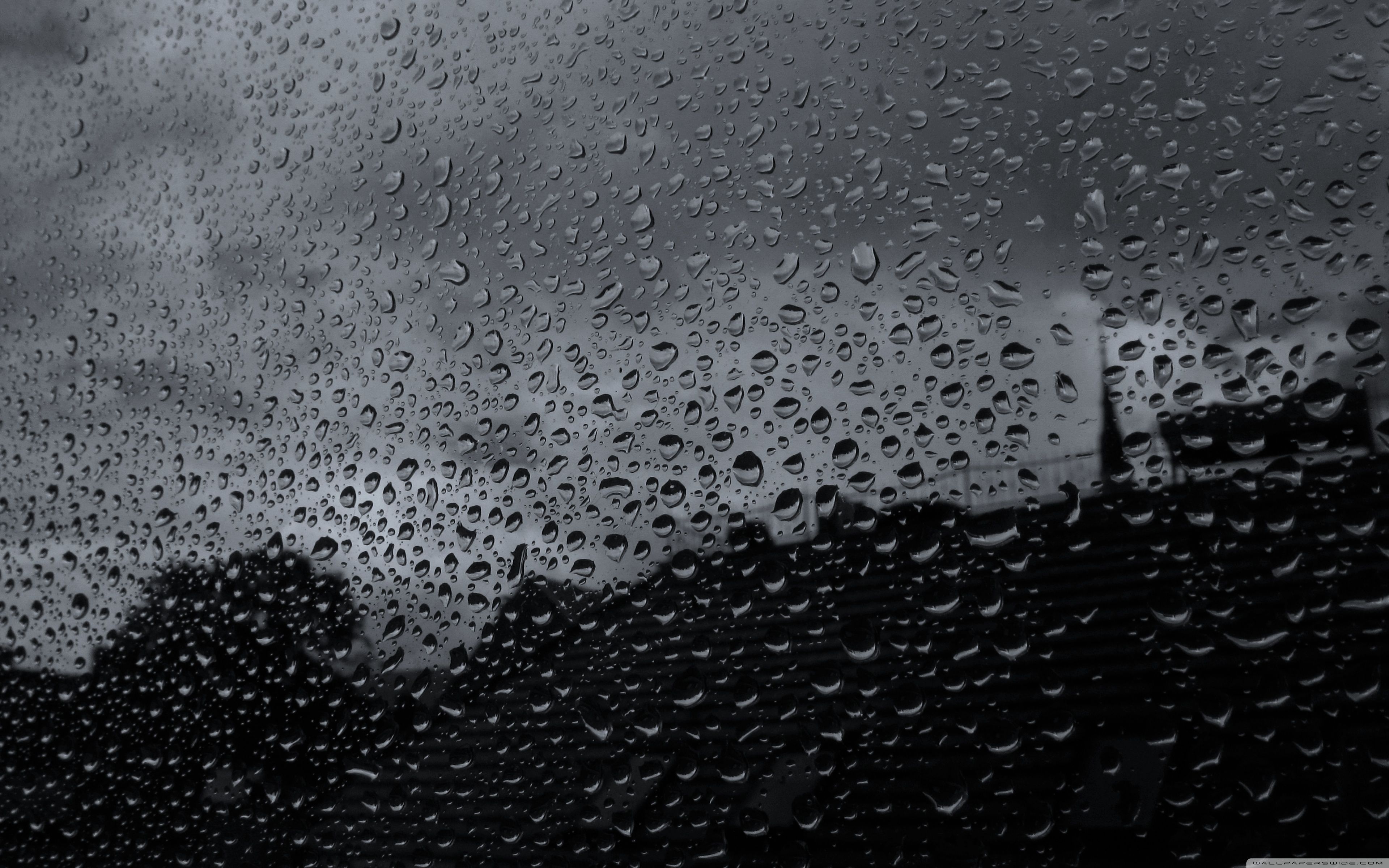 Black And White Rain Wallpapers - Wallpaper Cave