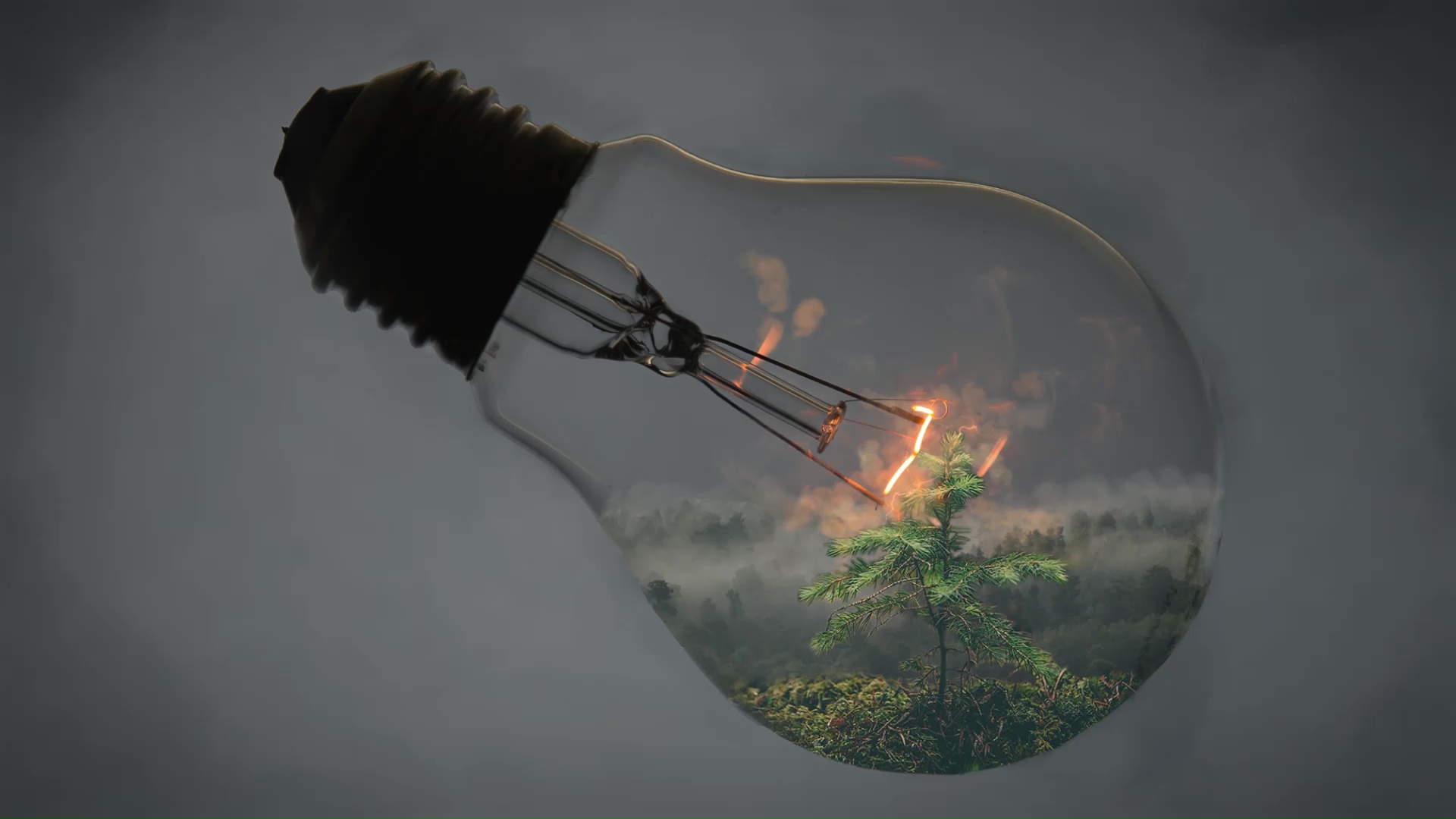 Nature In A Light Bulb Wallpapers - Wallpaper Cave