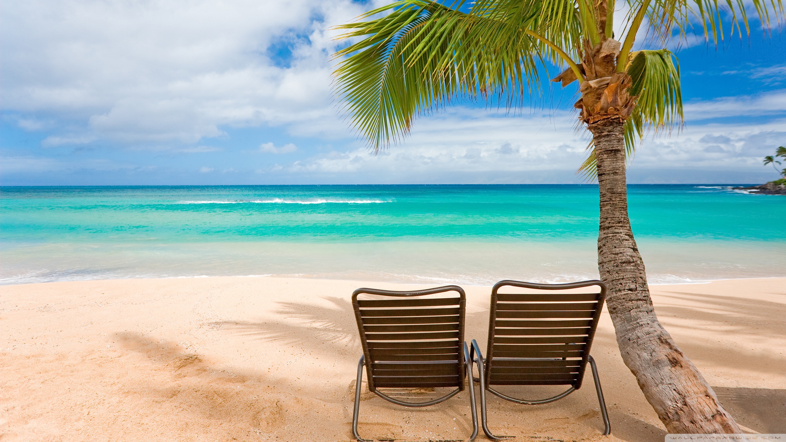 Exotic 4k Wallpapers - Wallpaper Cave