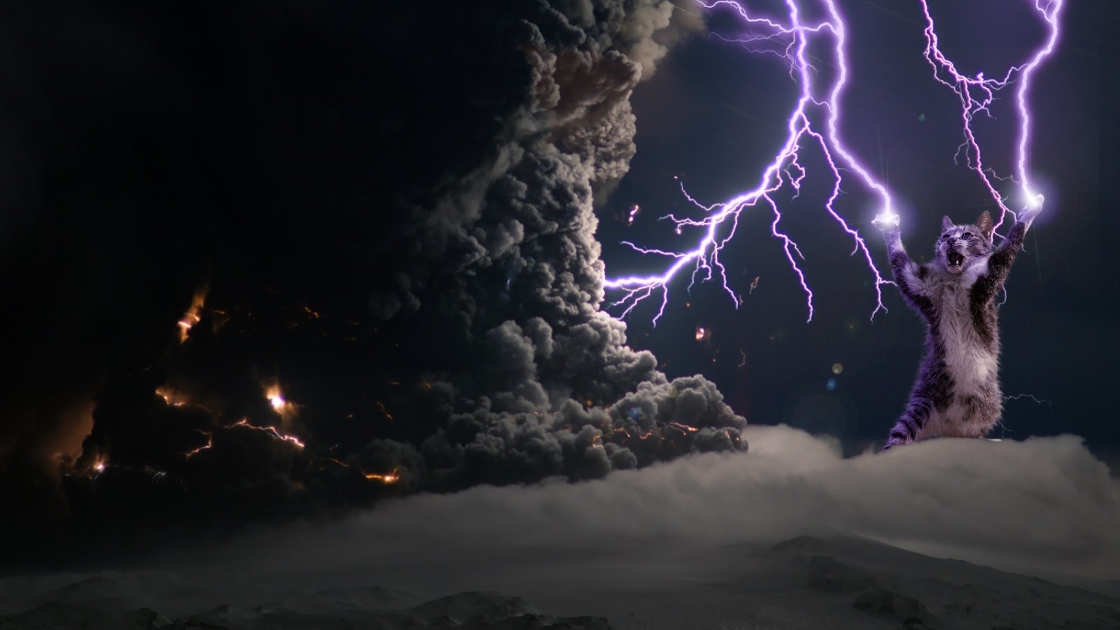 Lightning Cat Wallpapers - Wallpaper Cave