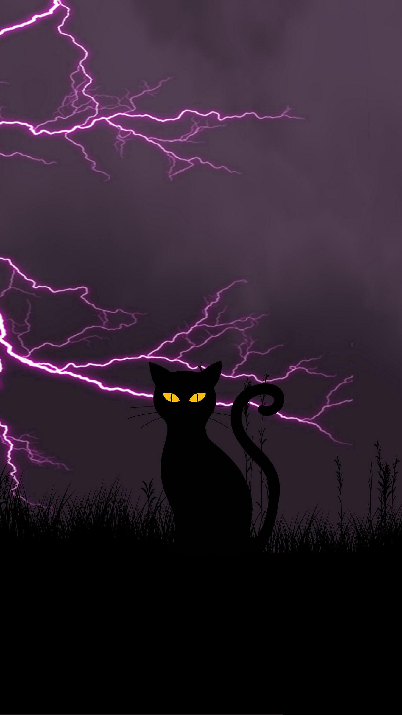 Lightning Cat Wallpapers - Wallpaper Cave