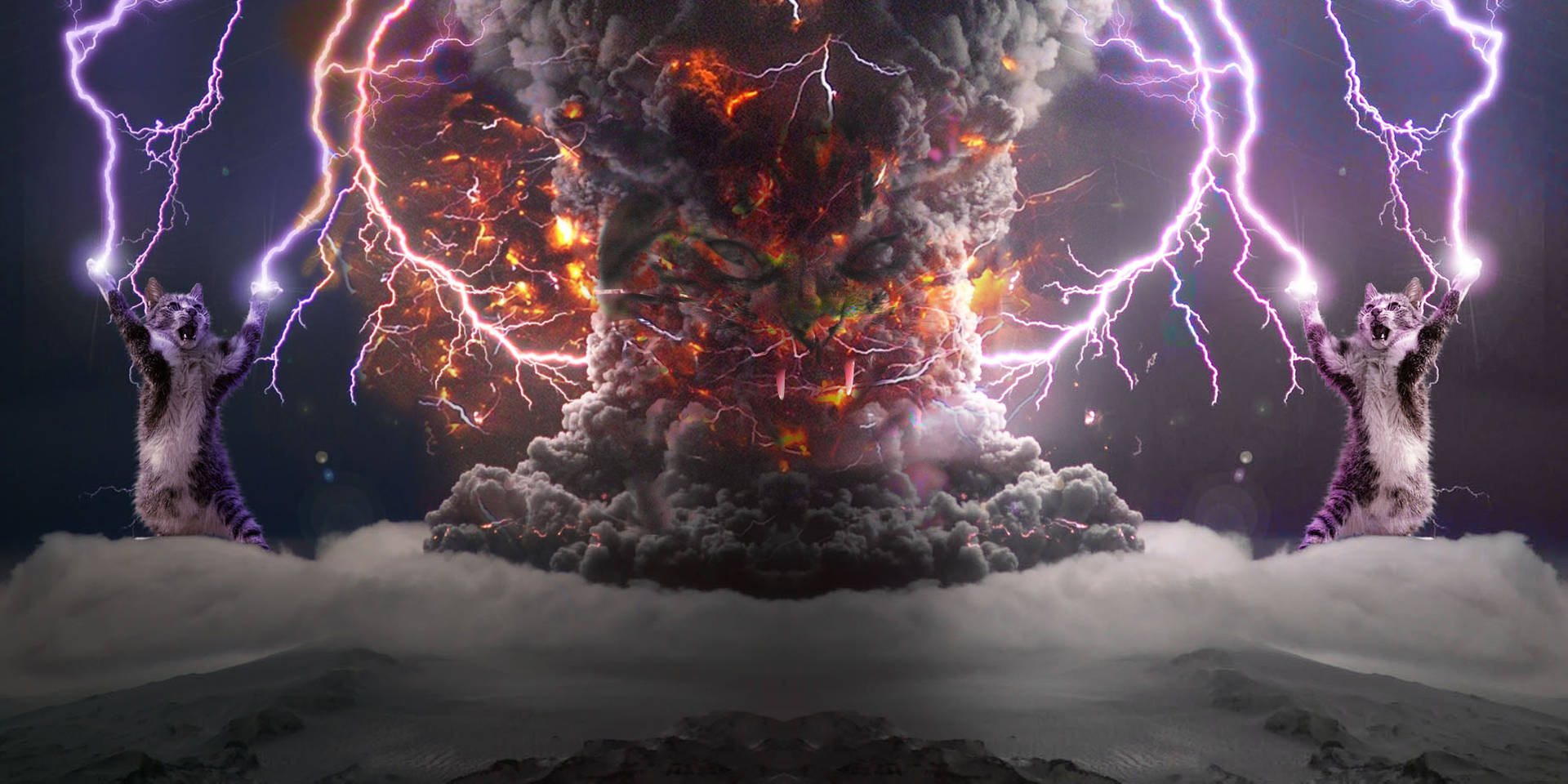 Lightning Cat Wallpapers - Wallpaper Cave