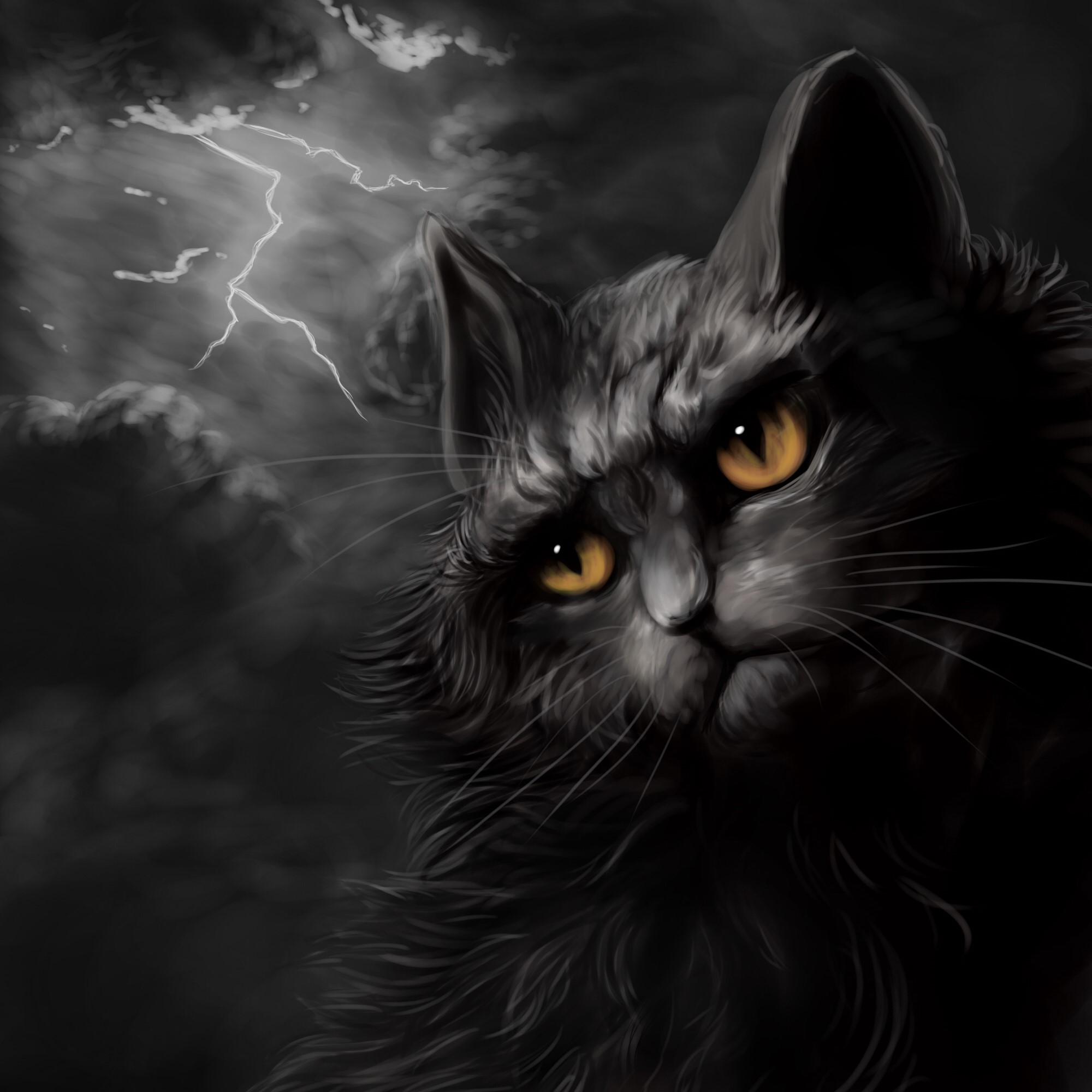 Lightning Cat Wallpapers - Wallpaper Cave