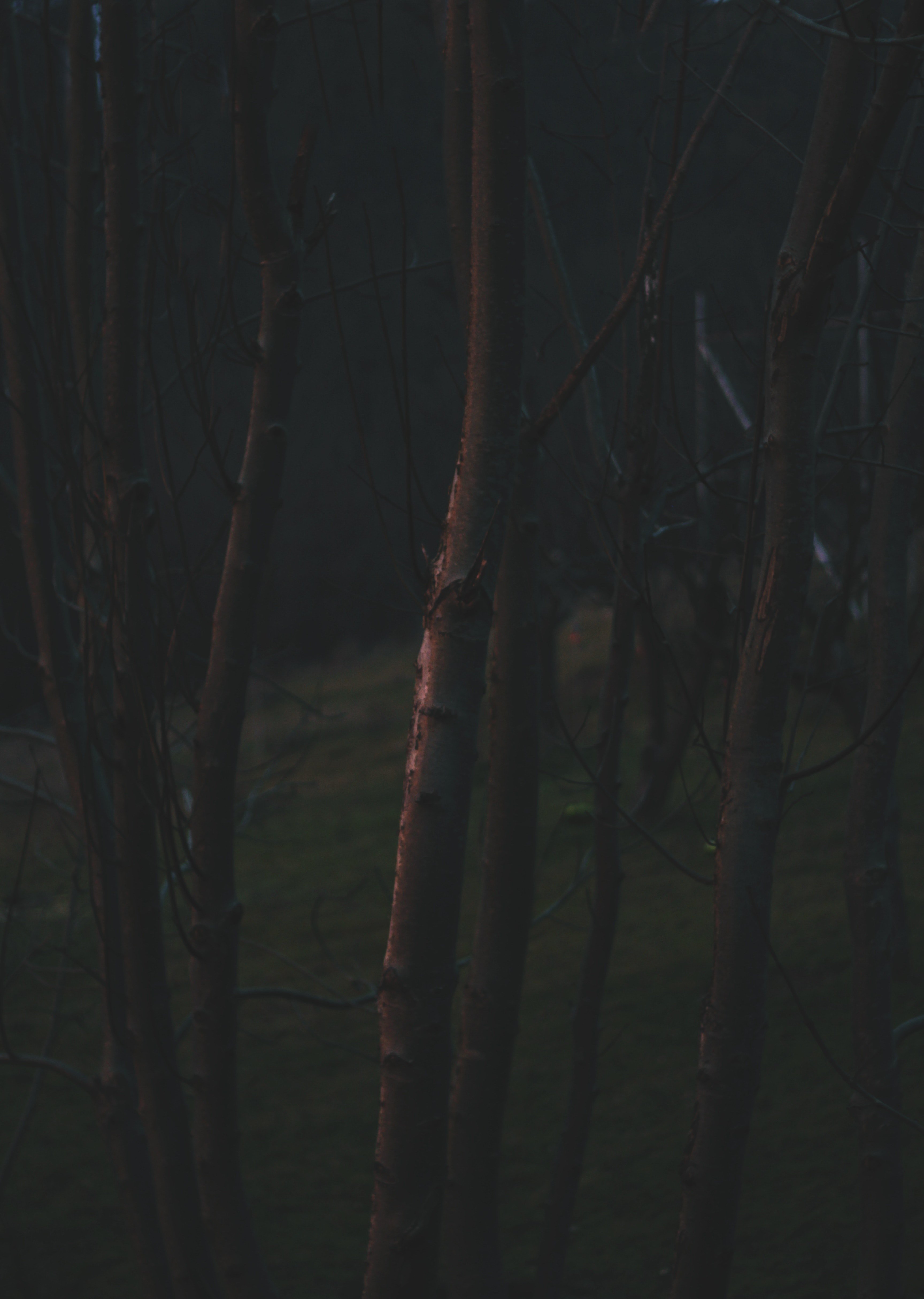 4k Moody Wallpapers - Wallpaper Cave