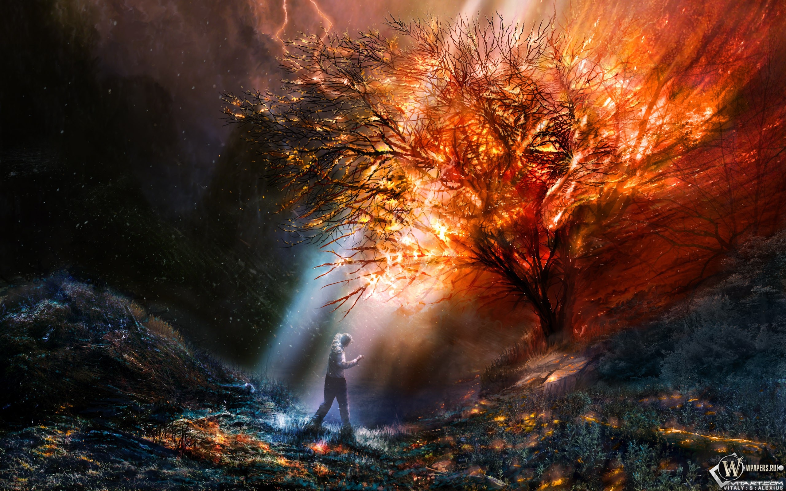 Burning Tree Wallpapers - Wallpaper Cave