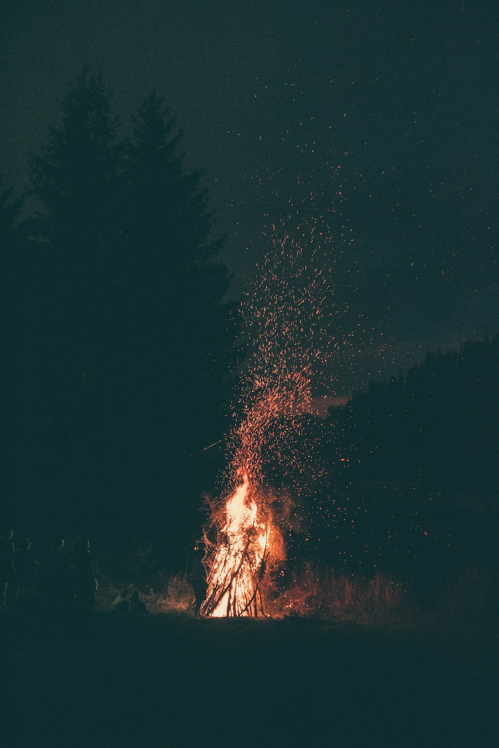 Burning Tree Wallpapers - Wallpaper Cave