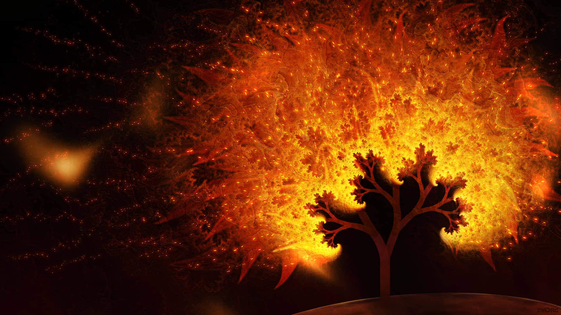 Burning Tree Wallpapers - Wallpaper Cave