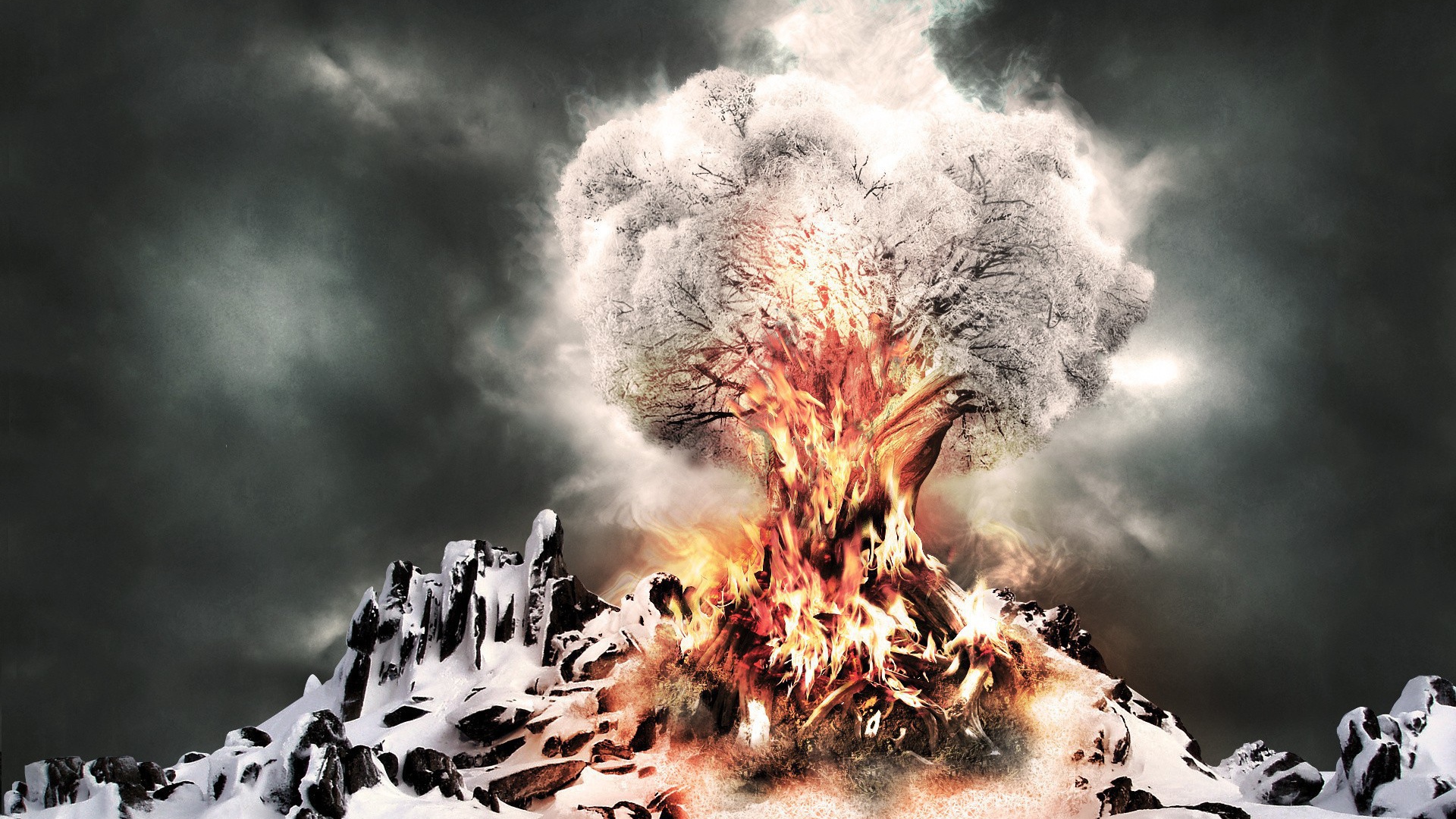 Burning Tree Wallpapers - Wallpaper Cave