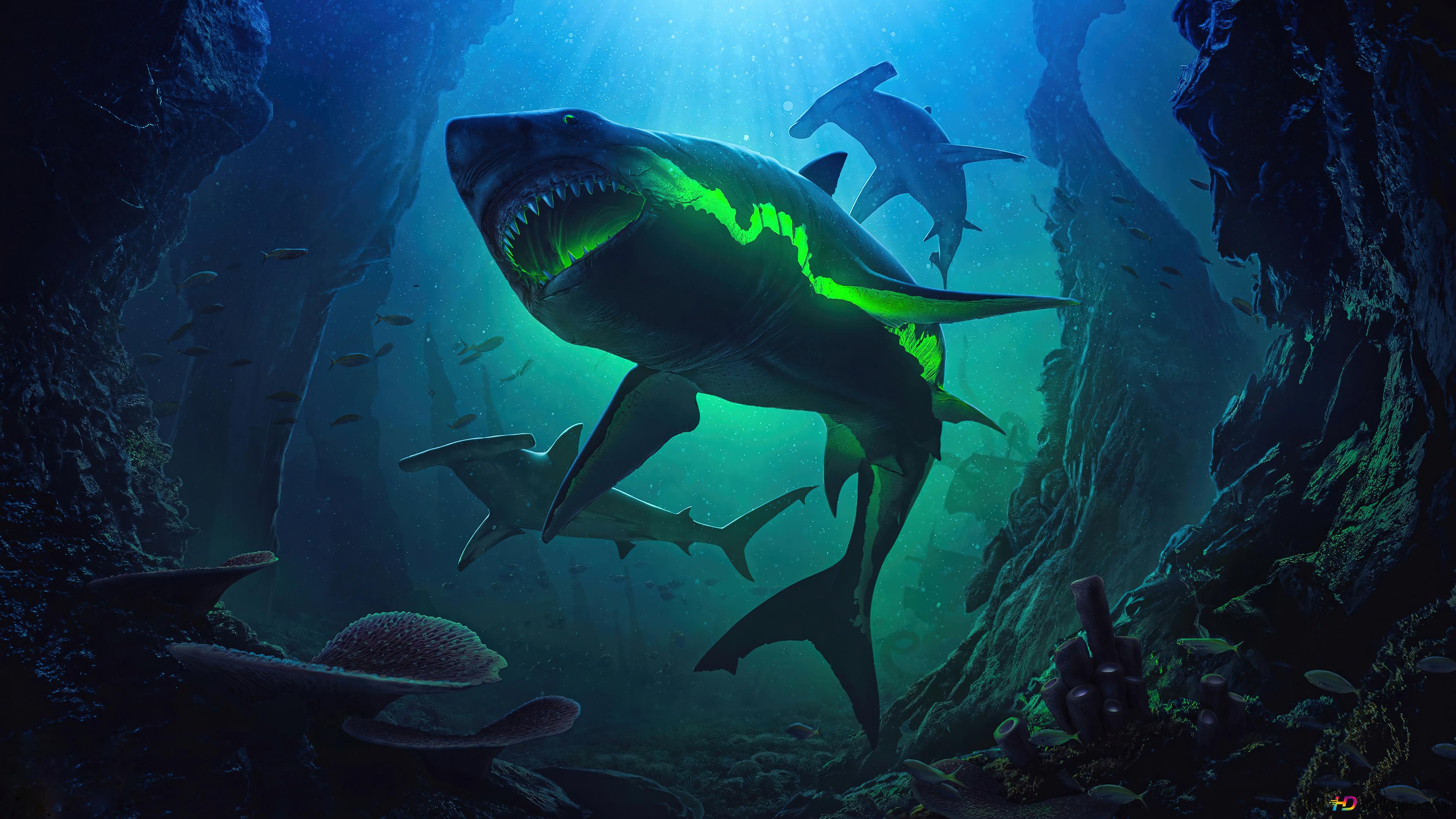 Megalodon 4k Wallpapers - Wallpaper Cave