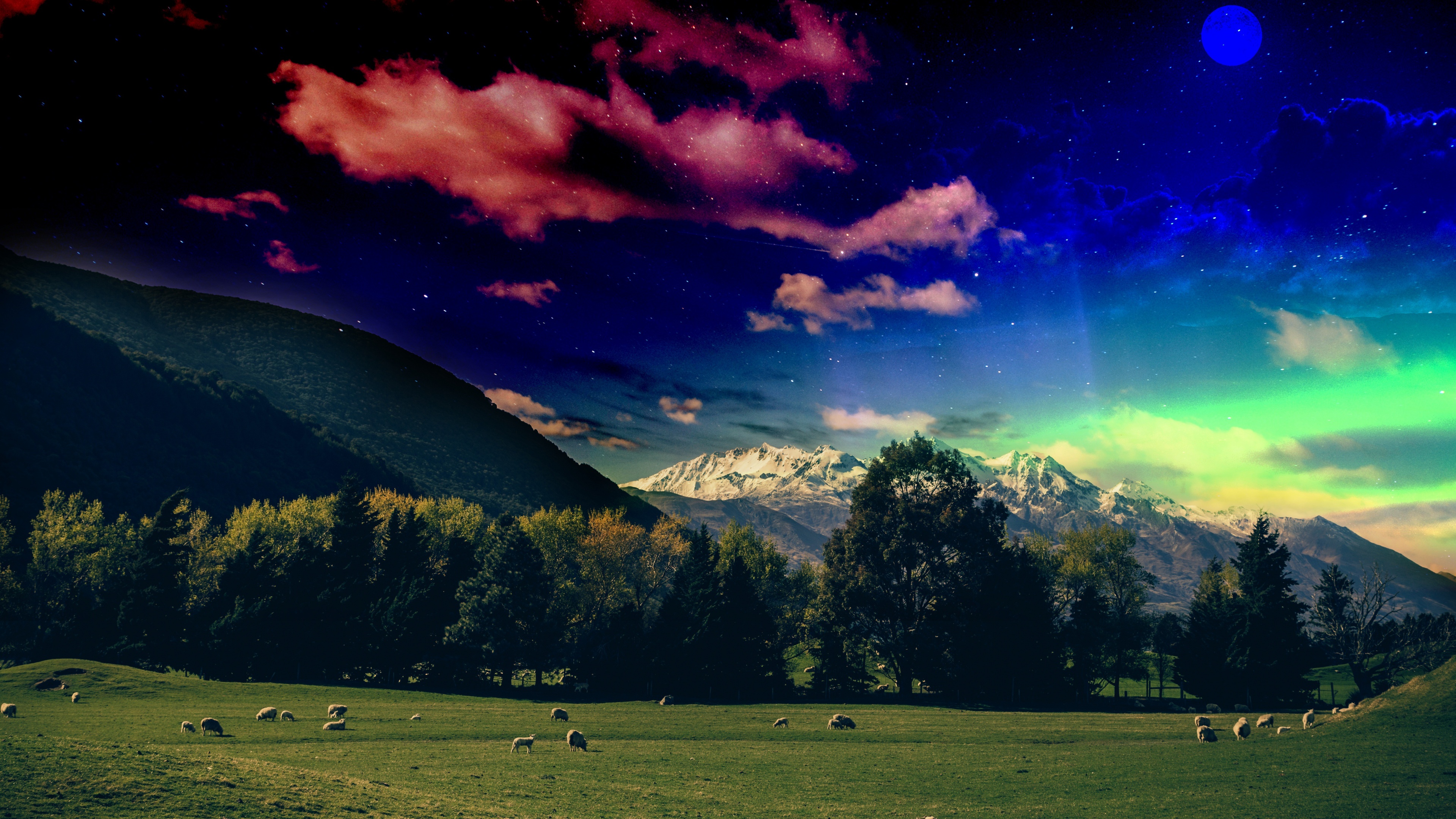 Meadow 4k Wallpapers - Wallpaper Cave