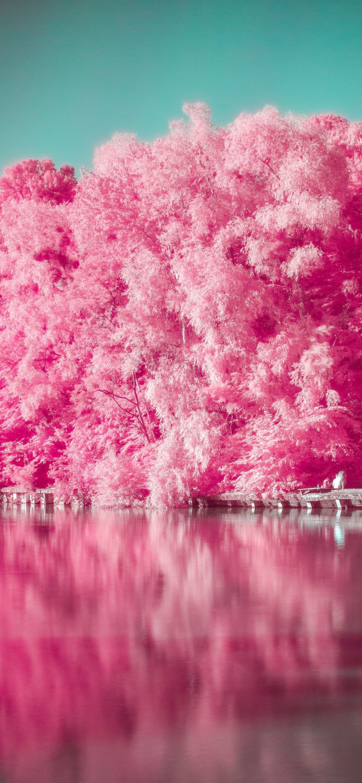 Pink iPhone 4k Wallpapers - Wallpaper Cave