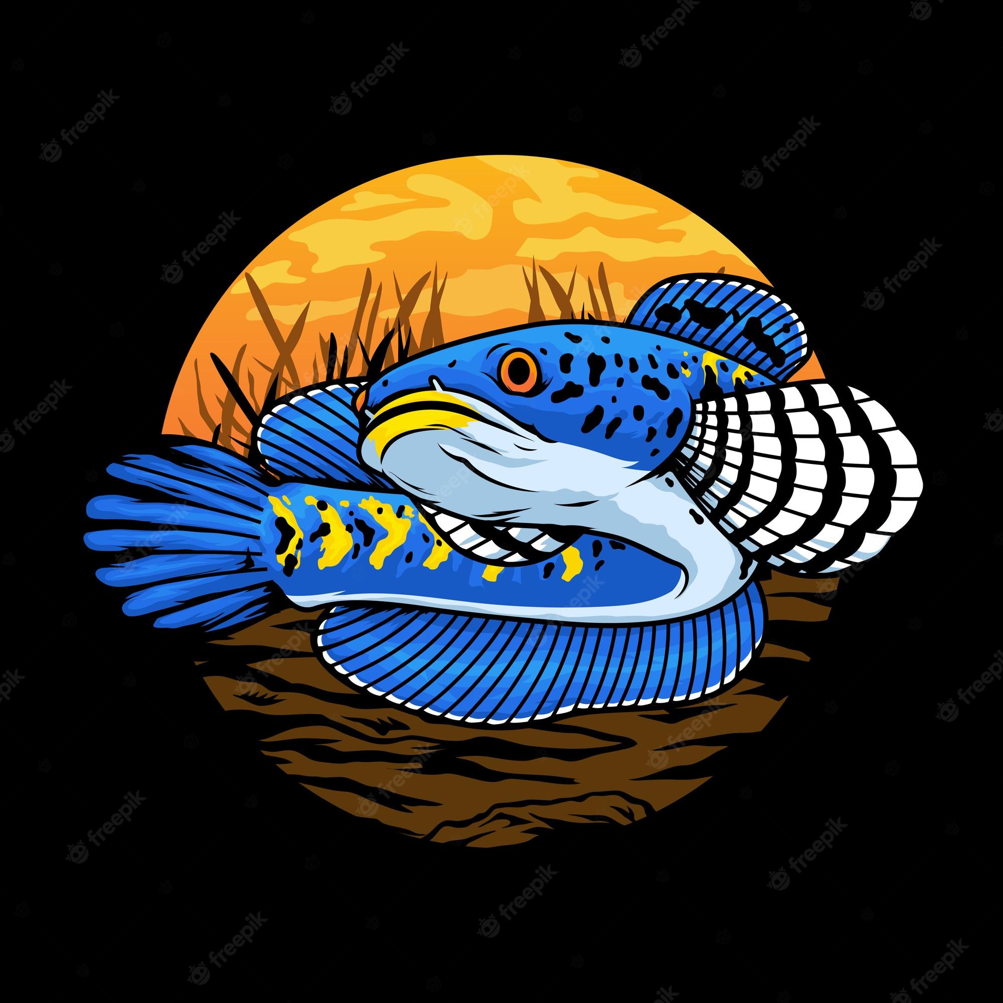 Channa Fish Wallpapers - Wallpaper Cave