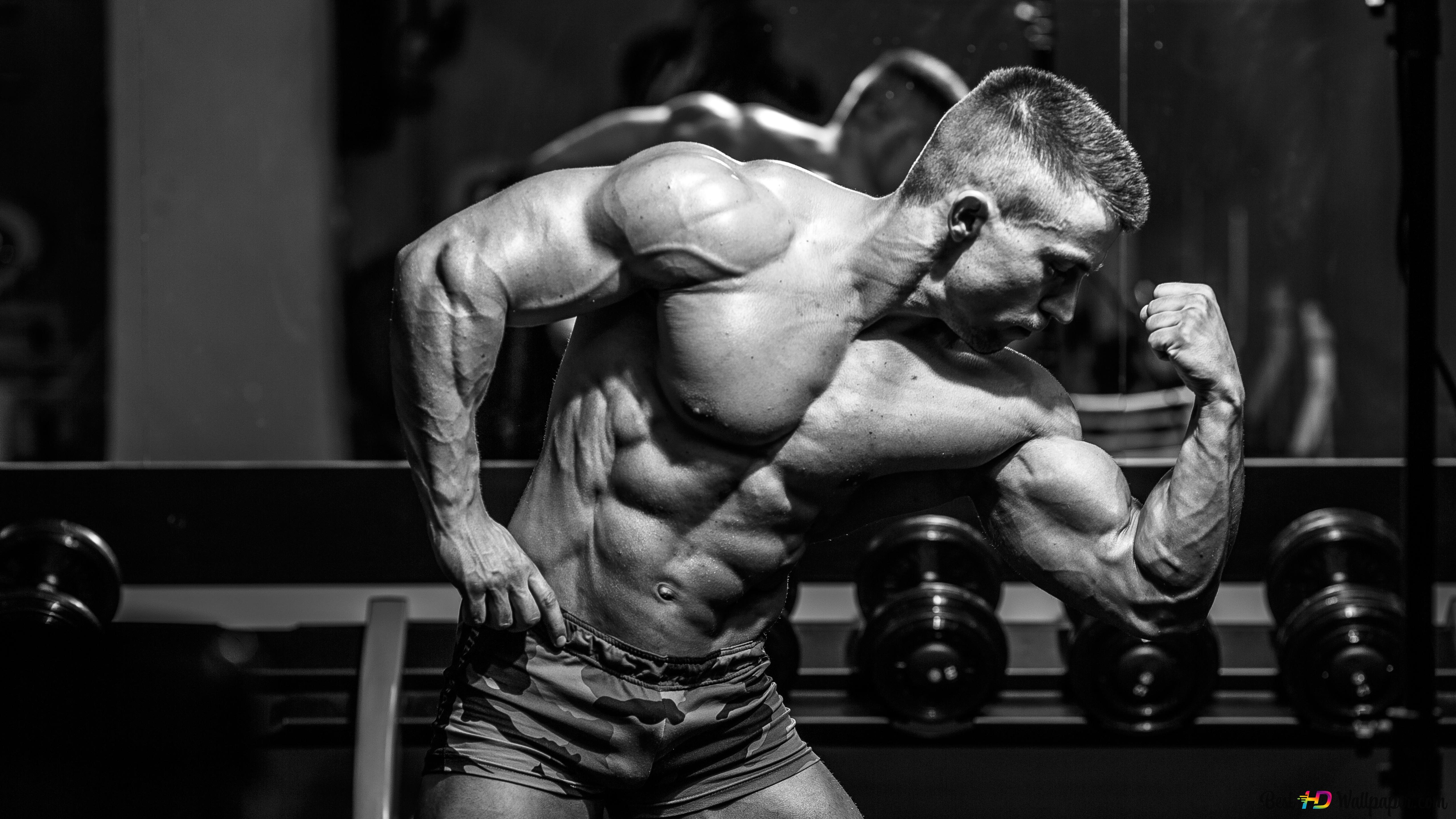 Gym Workout 4k Wallpapers - Wallpaper Cave