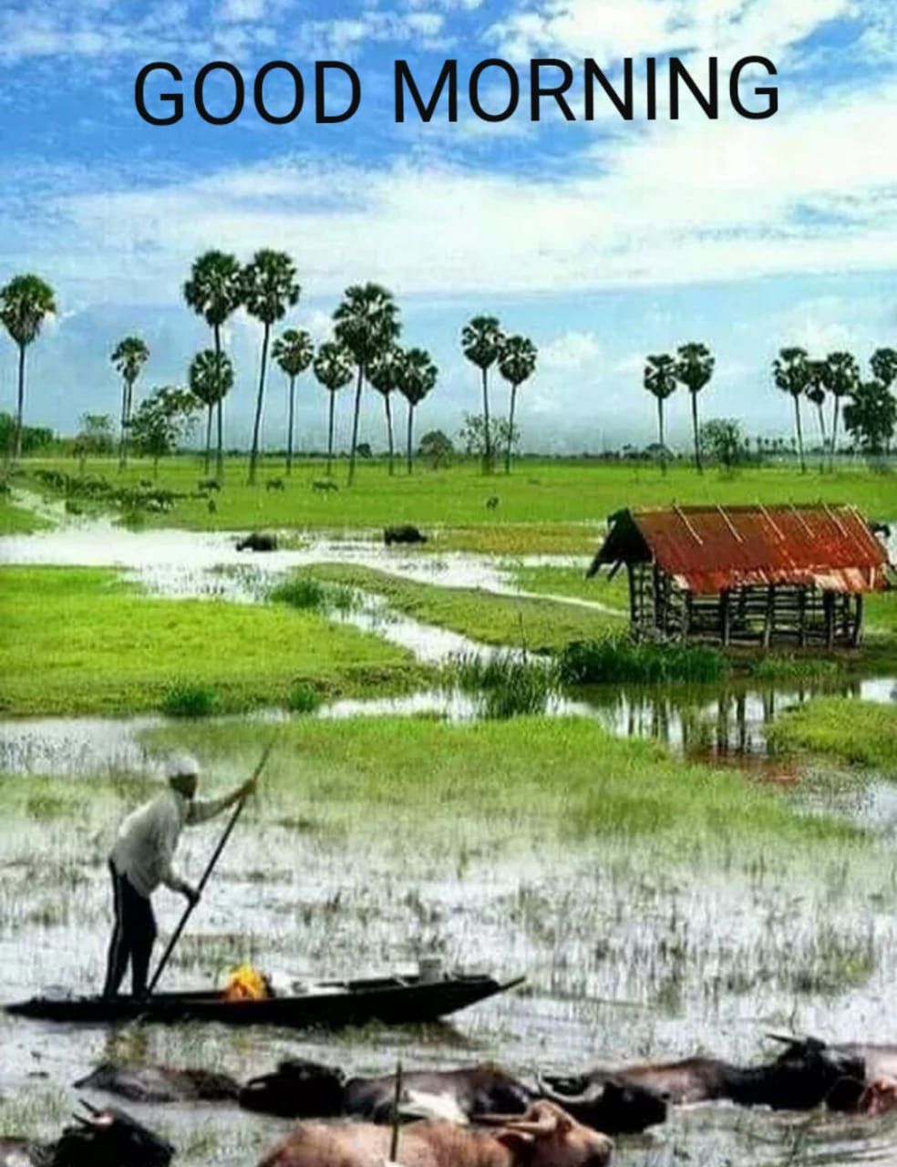 Morning Village Wallpapers - Wallpaper Cave