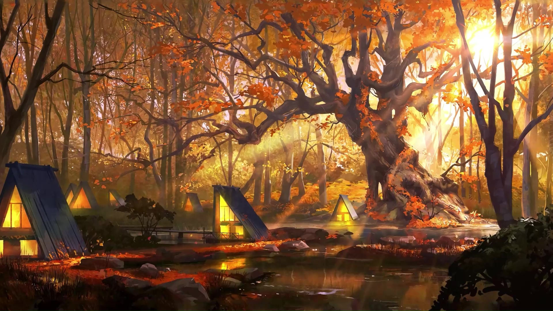 HD Autumn Forest Wallpapers - Wallpaper Cave