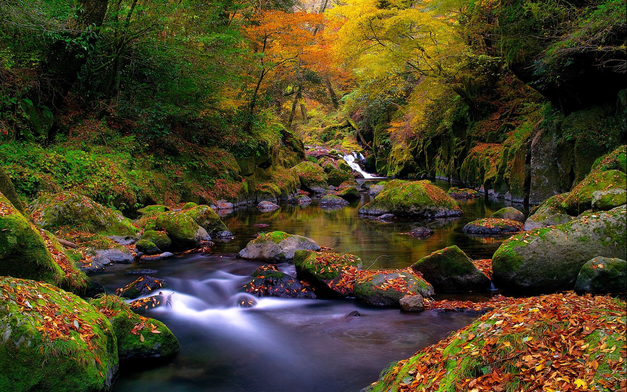 Autumn Forest River Wallpapers - Wallpaper Cave