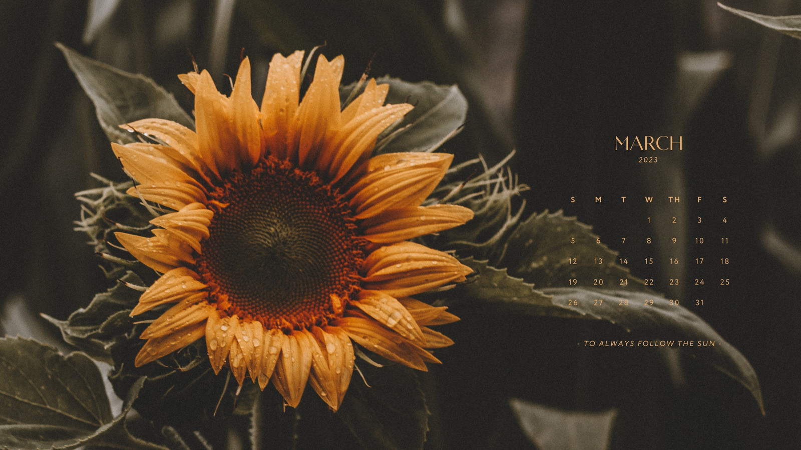 Sunflowers Computer Wallpapers - Wallpaper Cave