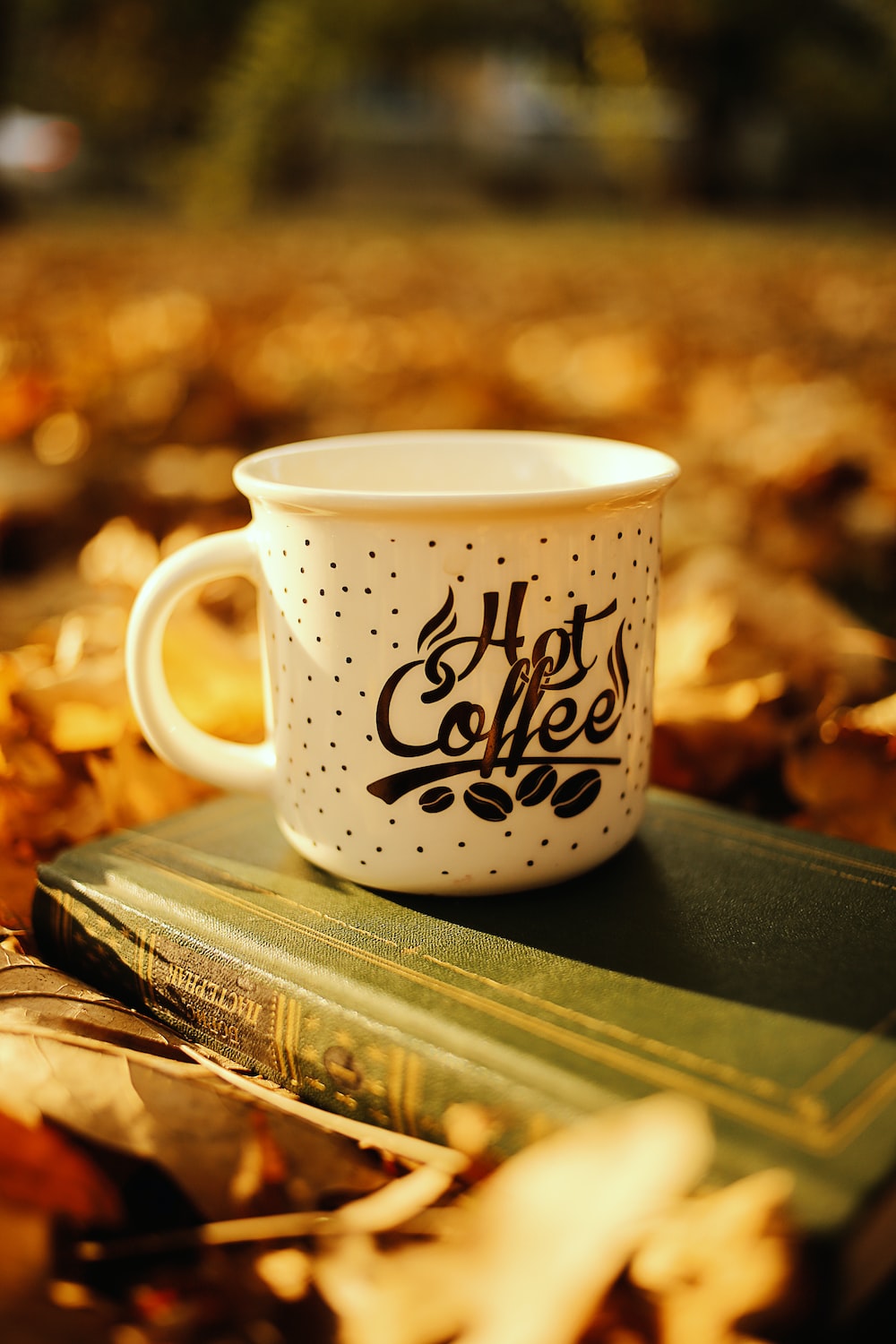 Autumn Cafe Shop Wallpapers - Wallpaper Cave
