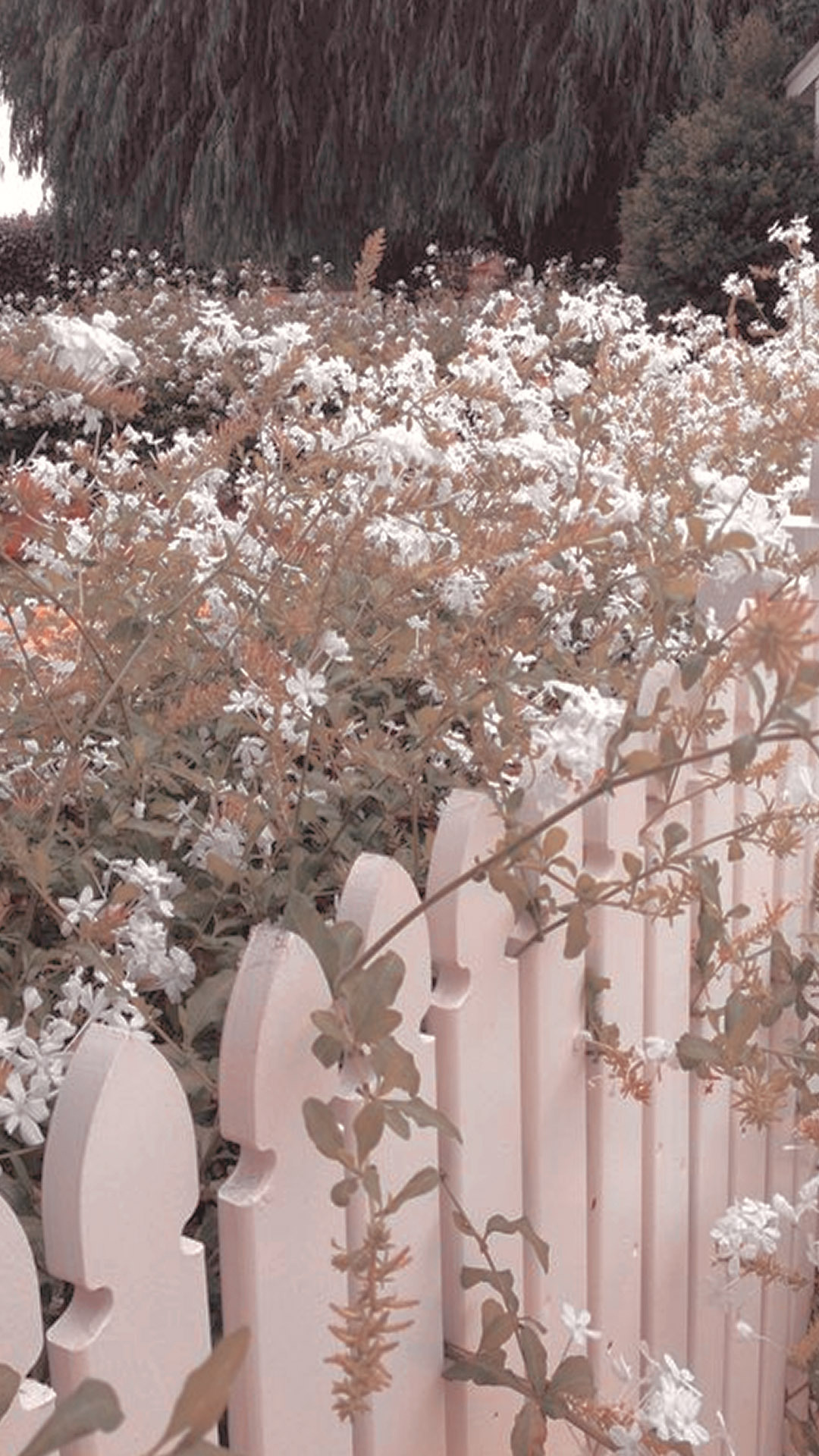 iPhone Cottagecore Wallpapers - Wallpaper Cave