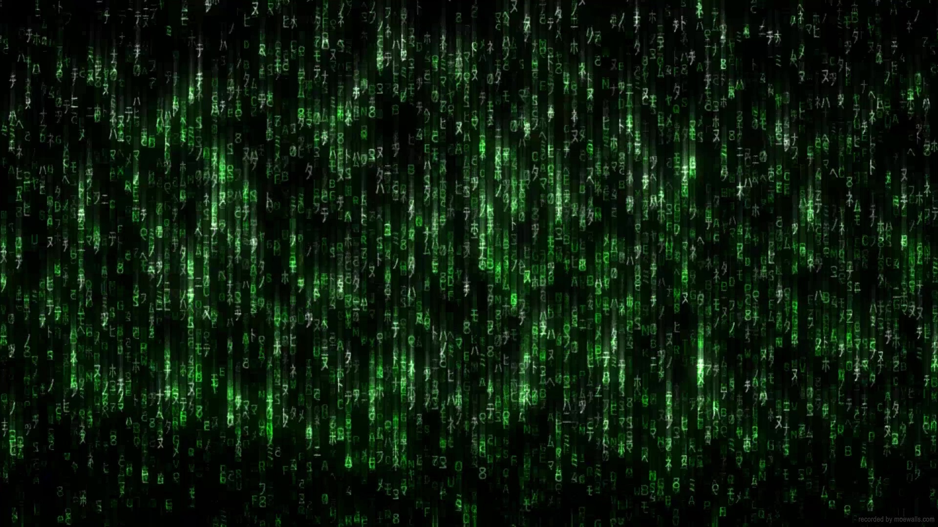 Matrix Desktop Wallpapers - Wallpaper Cave