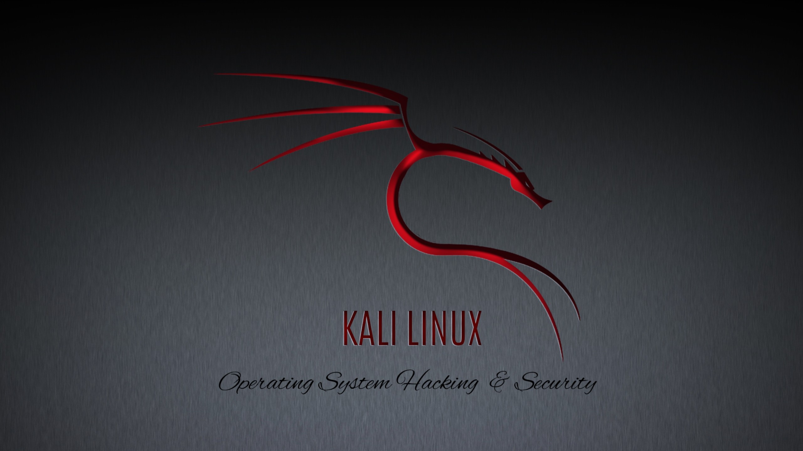 Kali Linux 2560x1440 Wallpapers - Wallpaper Cave