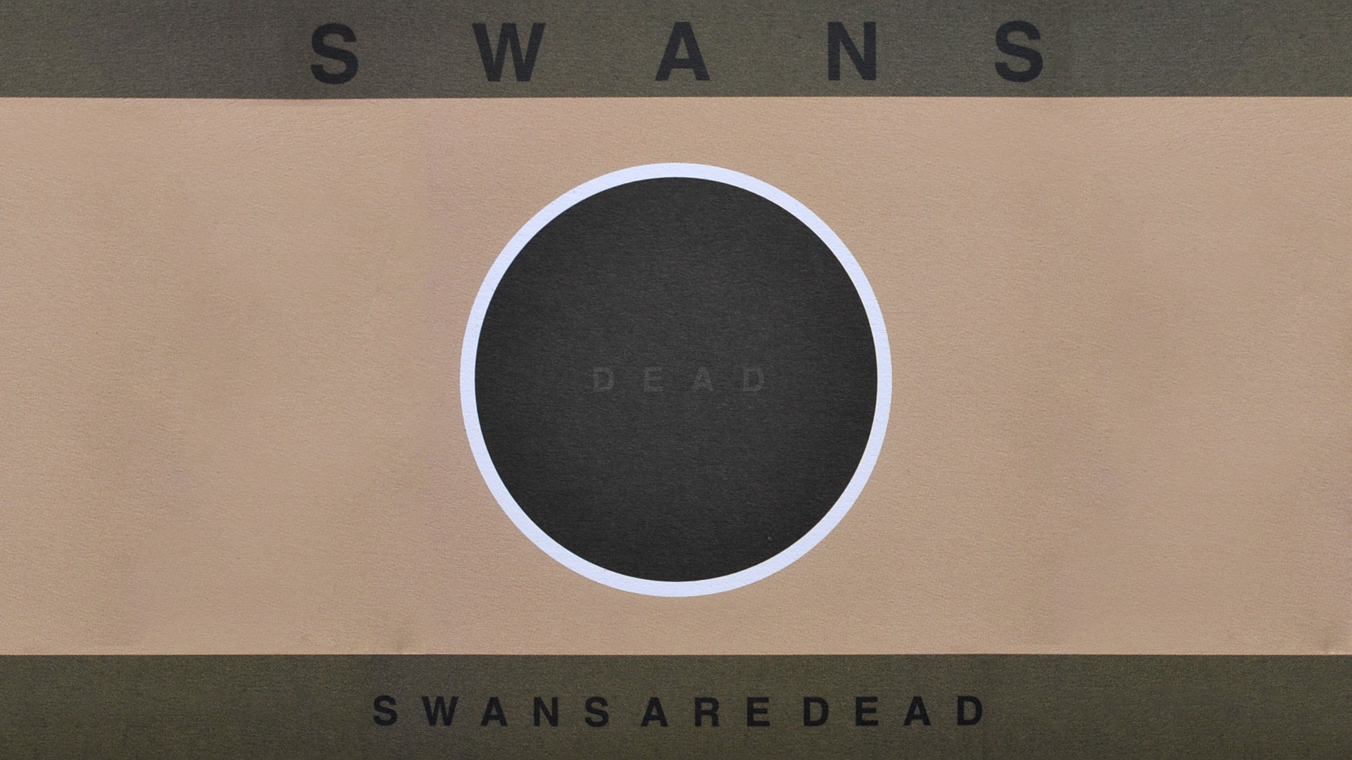 Swans Band Wallpapers - Wallpaper Cave