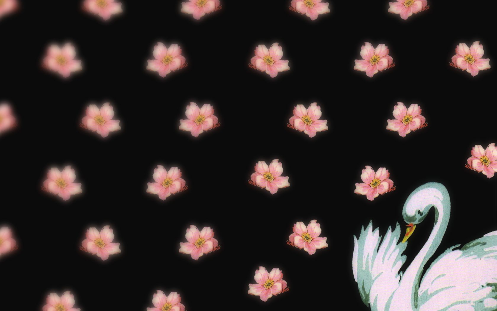 Swans Band Wallpapers - Wallpaper Cave