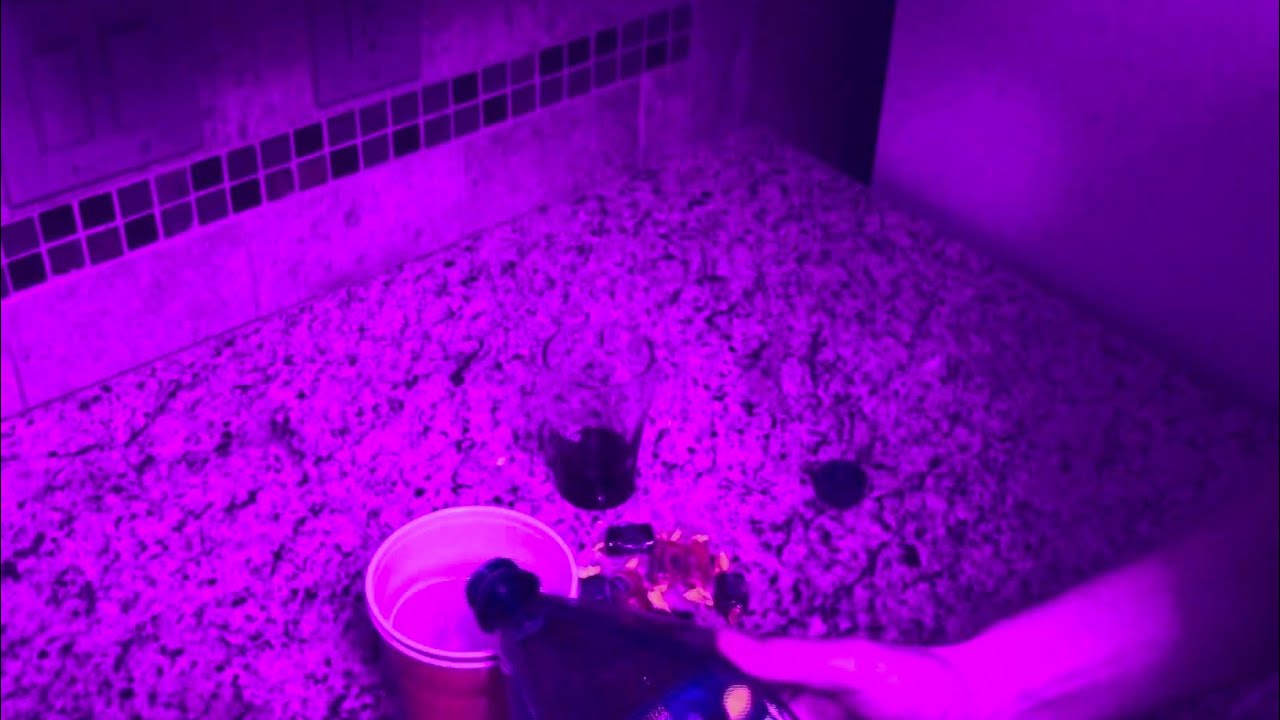 Lean Cup Wallpapers - Wallpaper Cave