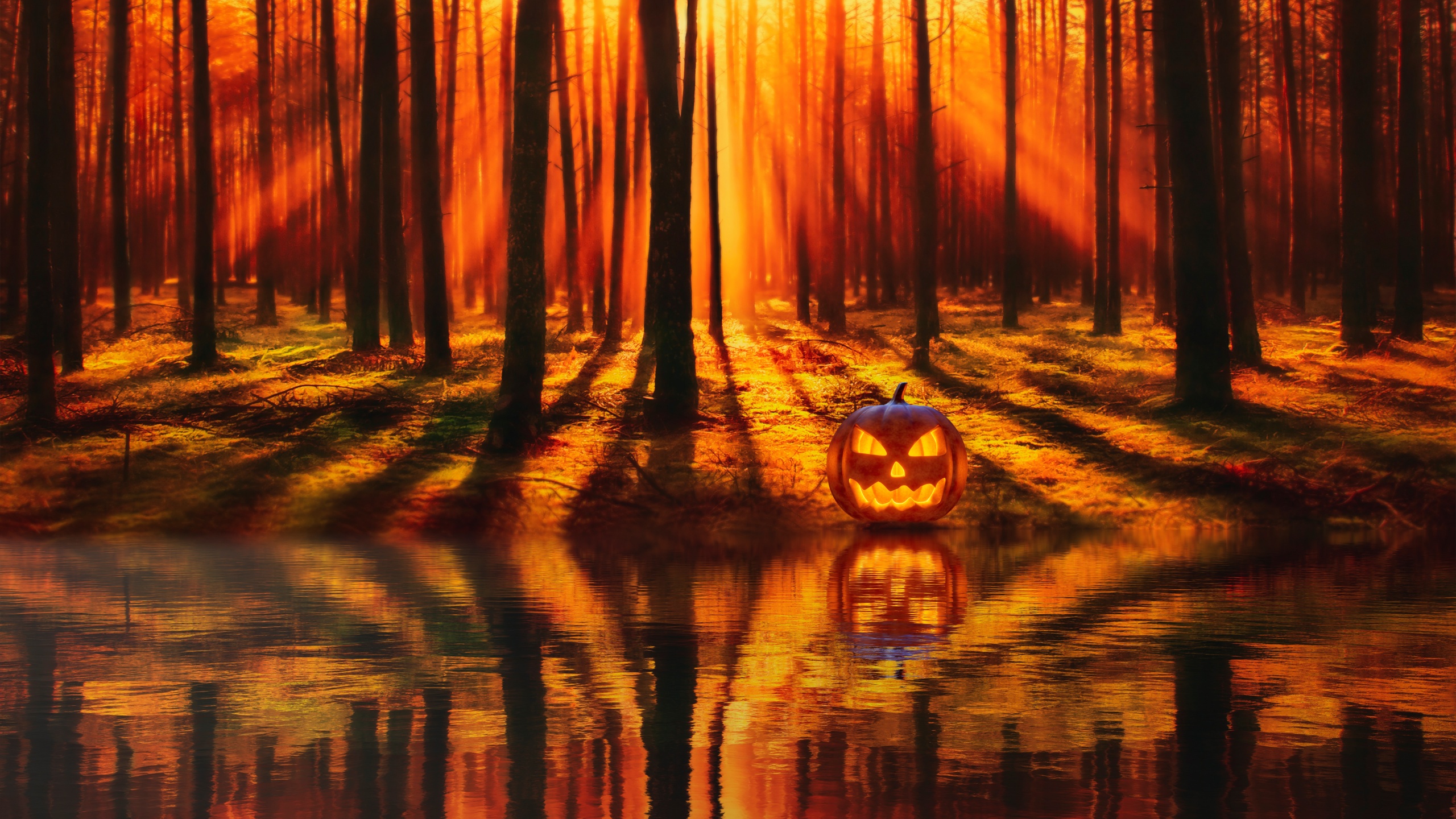 Halloween Forest Computer Wallpapers - Wallpaper Cave