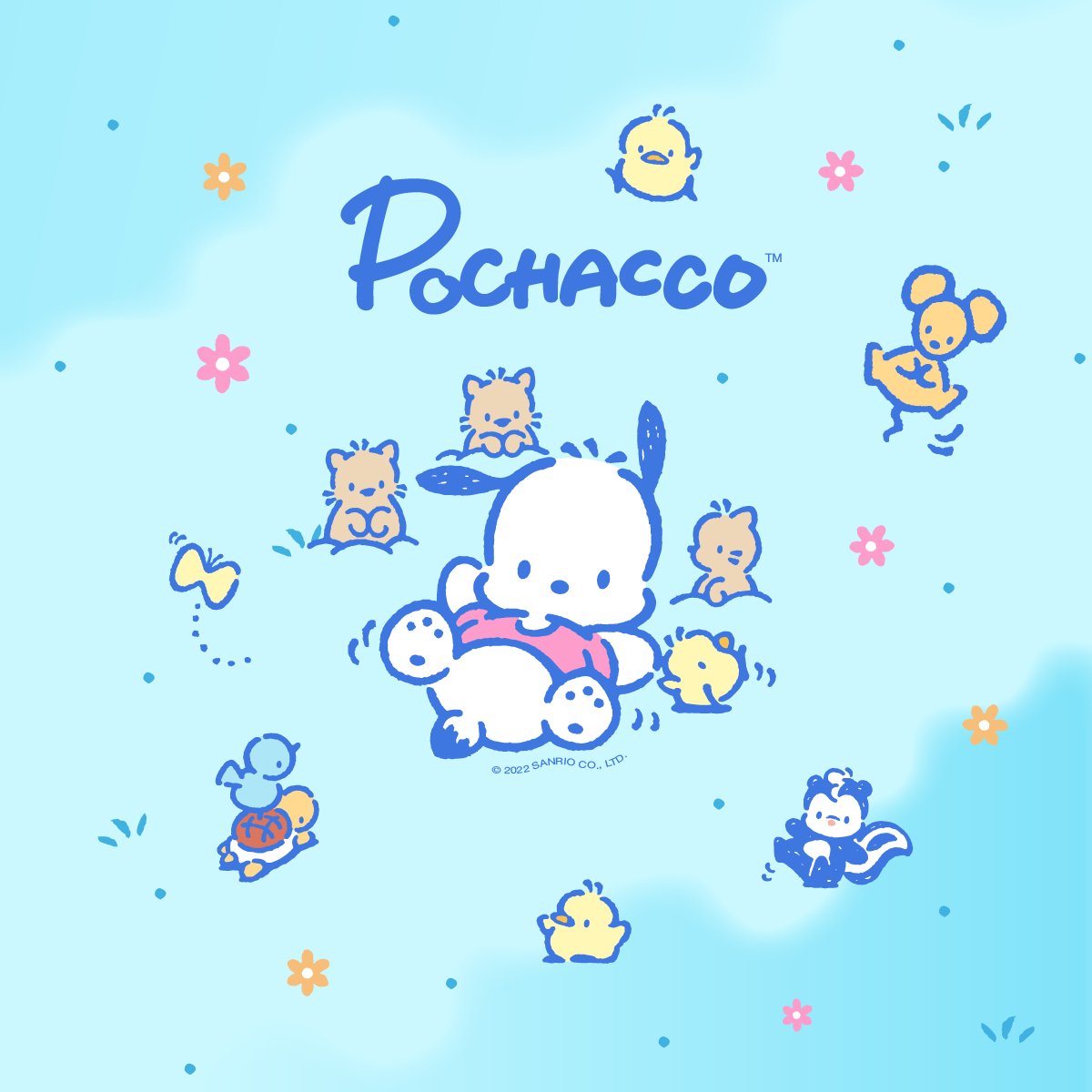 Sanrio Pochacco Wallpapers - Wallpaper Cave