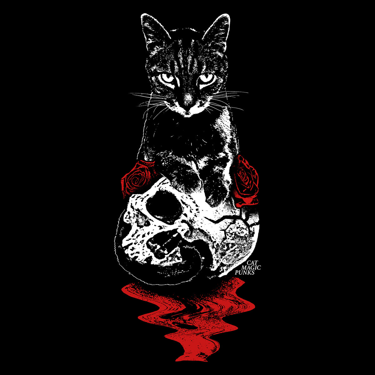 Cat Skull Wallpaper