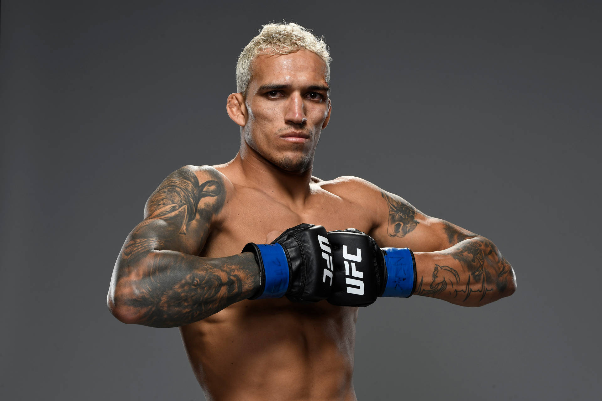 Charles Oliveira Desktop Wallpapers - Wallpaper Cave